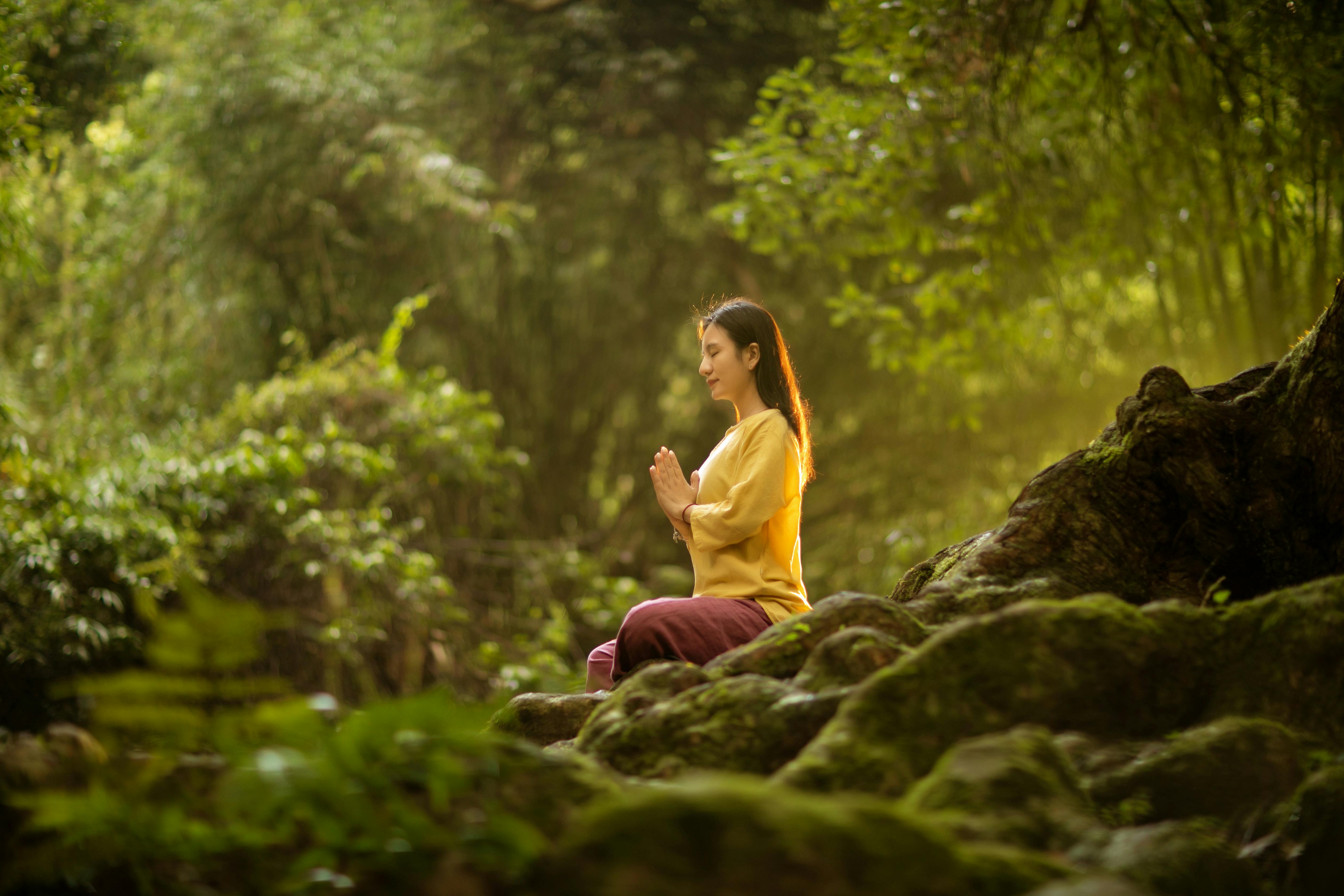 Woman Meditating in a Forest · Free Stock Photo