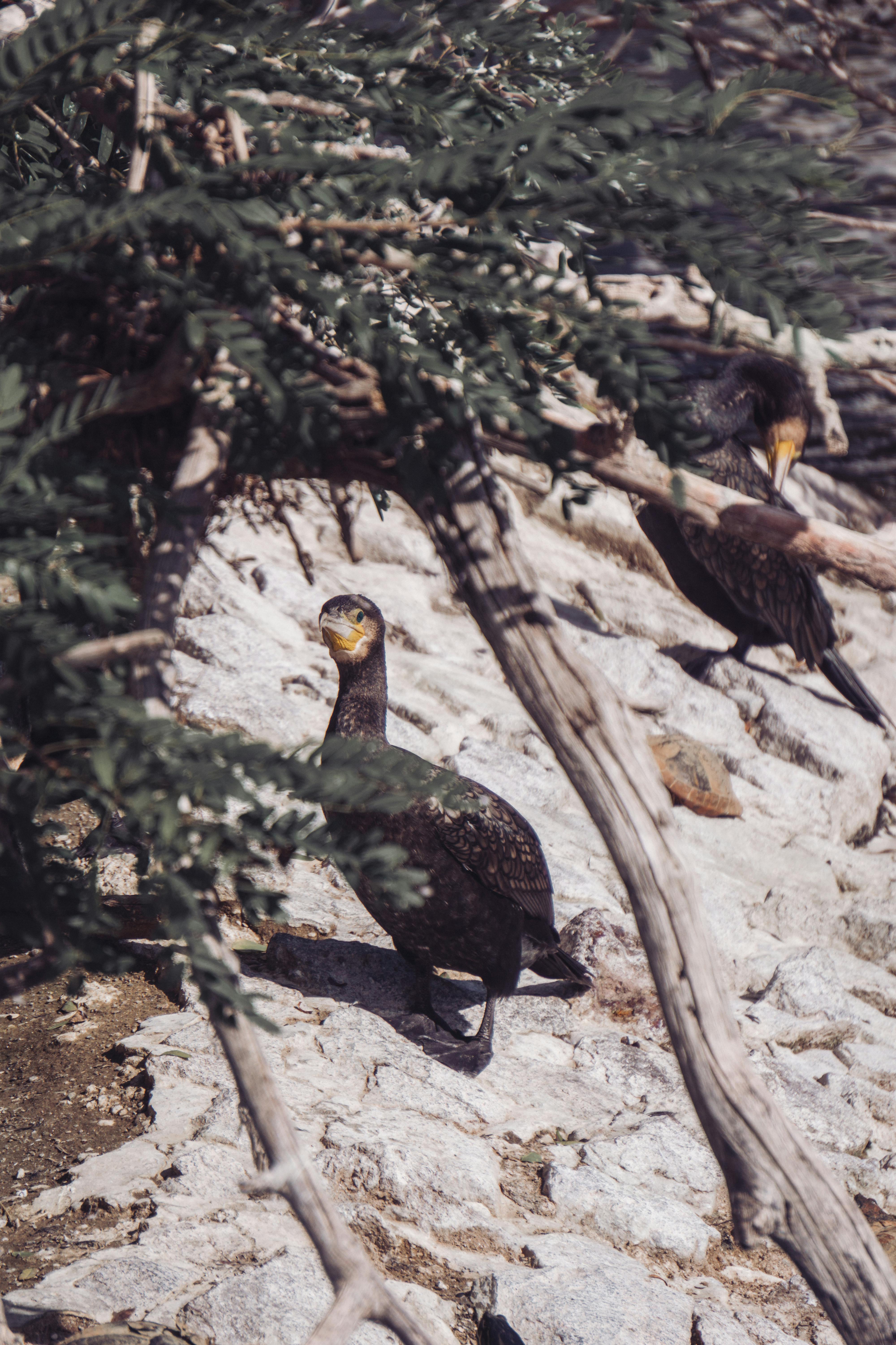 Land Bank Photos, Download The BEST Free Land Bank Stock Photos & HD Images