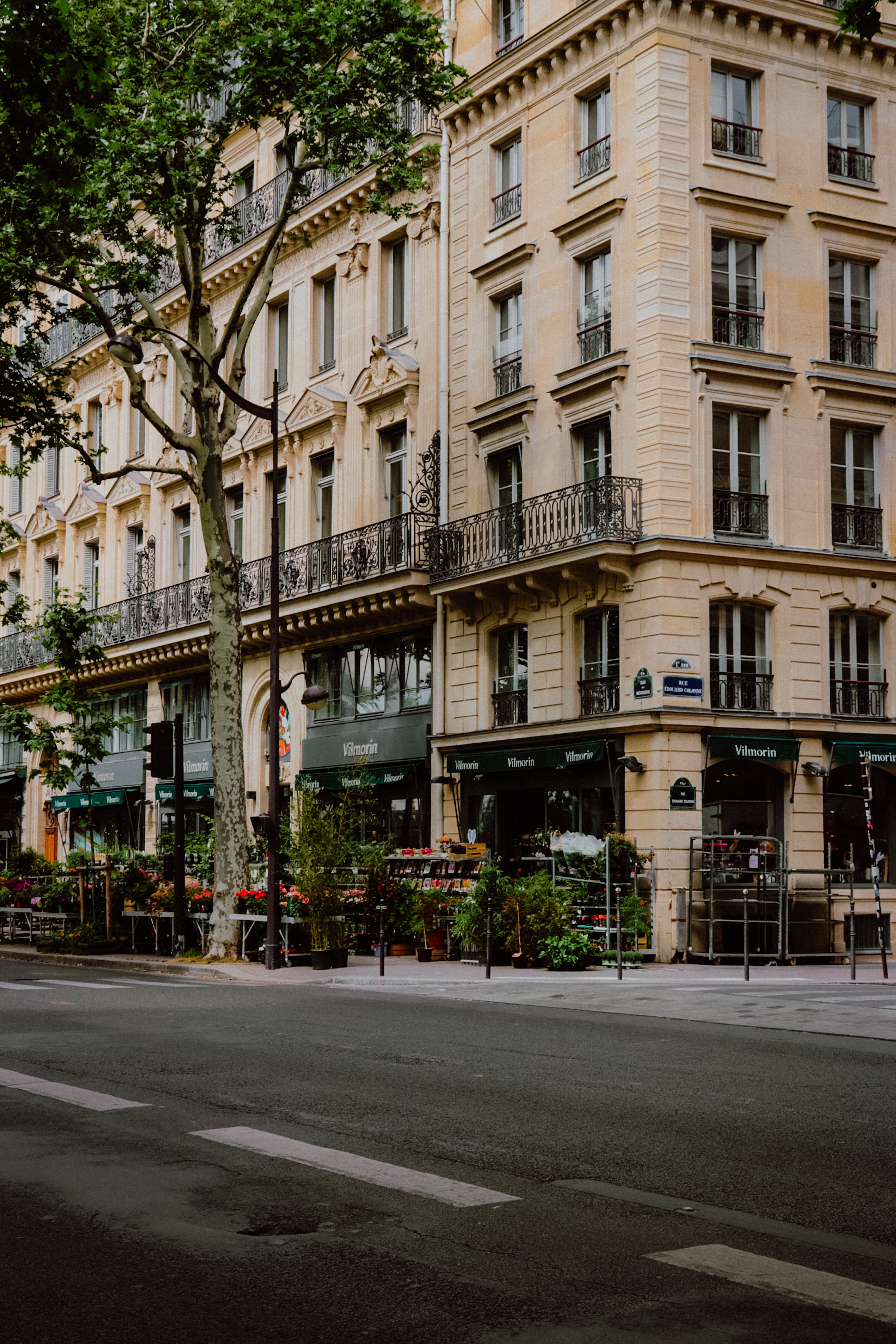 Photo of a Street and a Building · Free Stock Photo