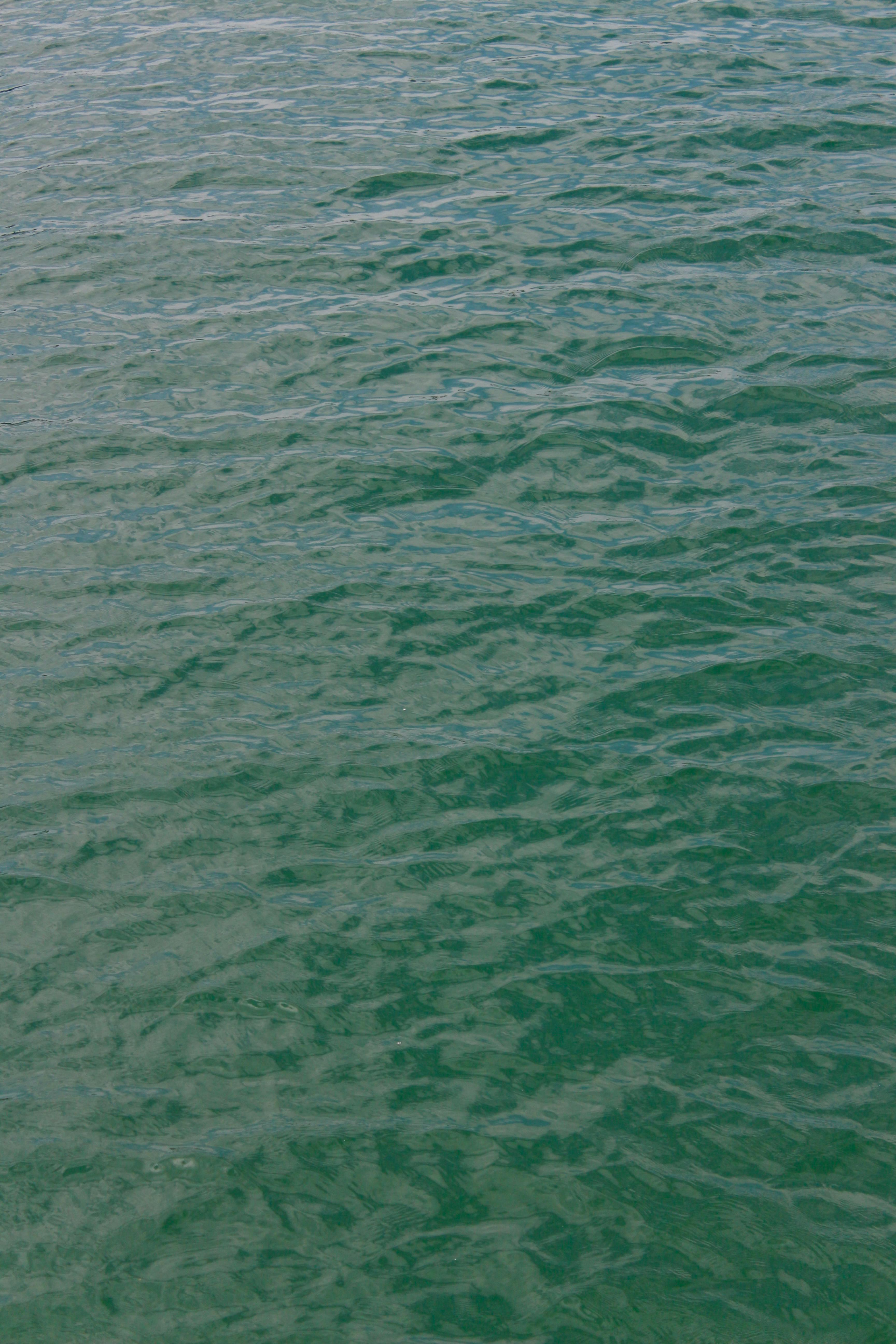 Wates Photos, Download The BEST Free Wates Stock Photos & HD Images