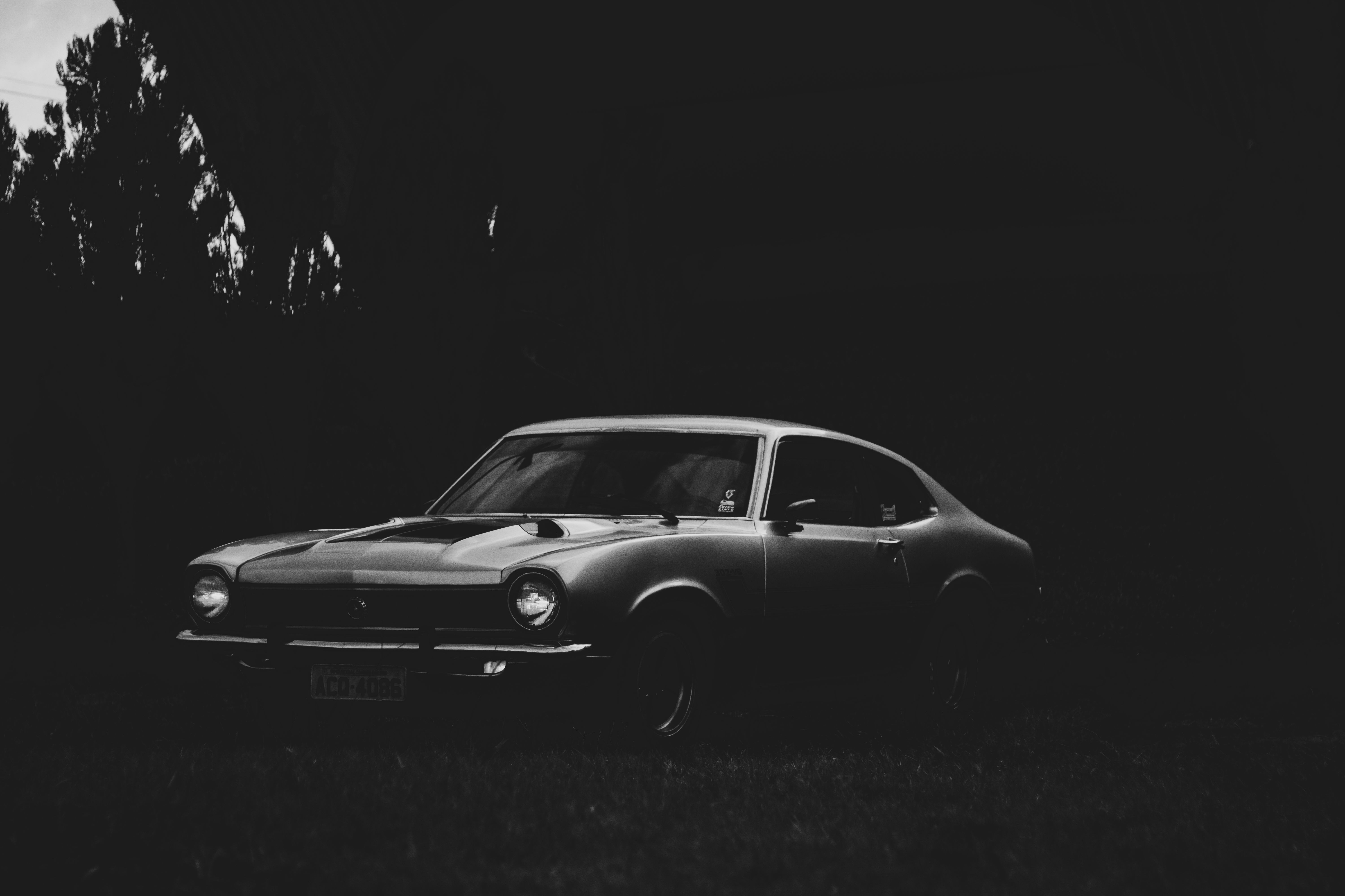 Grayscale Photography of Car Parked on Grass · Free Stock Photo