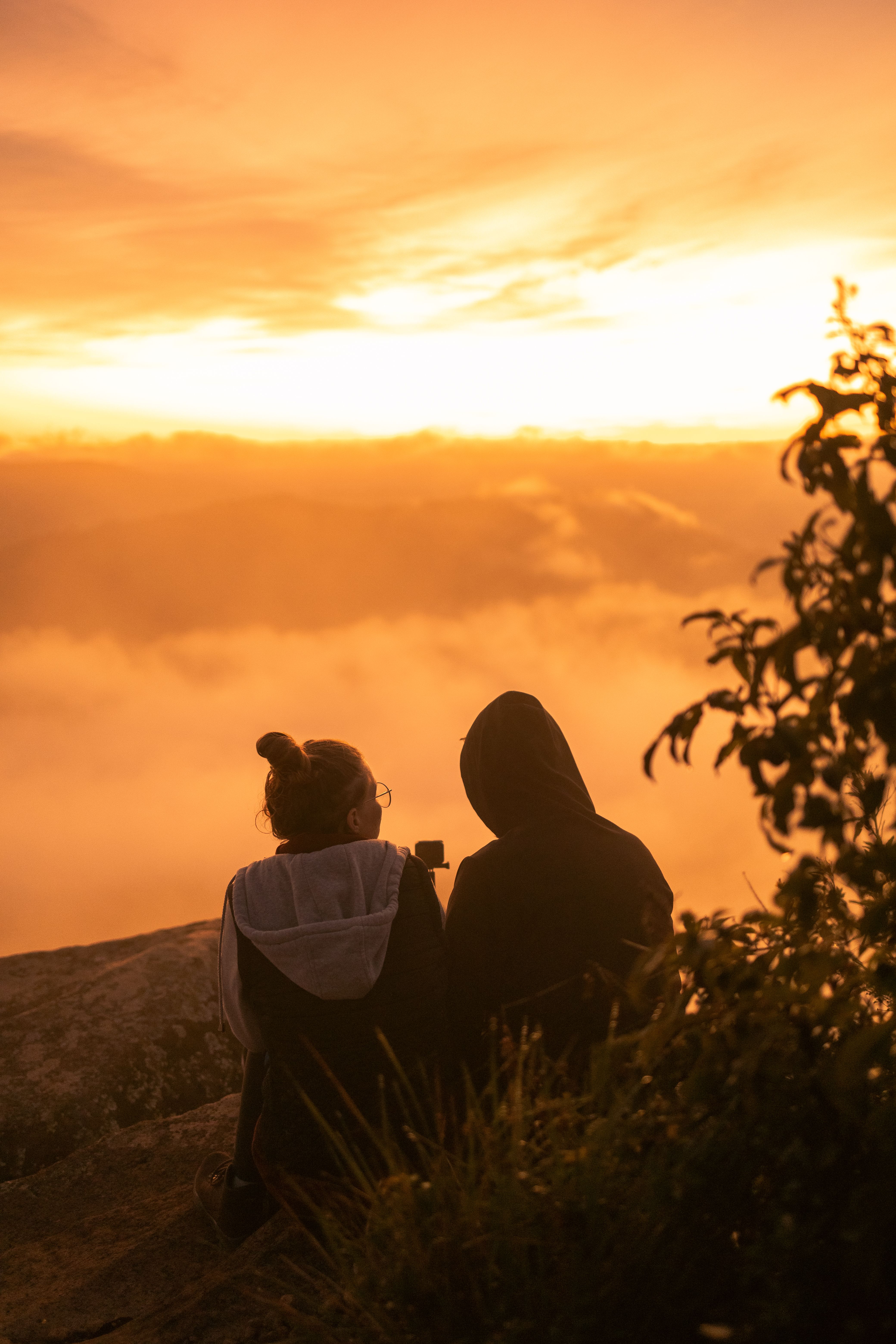Group of Friends Watching the Sunset · Free Stock Photo