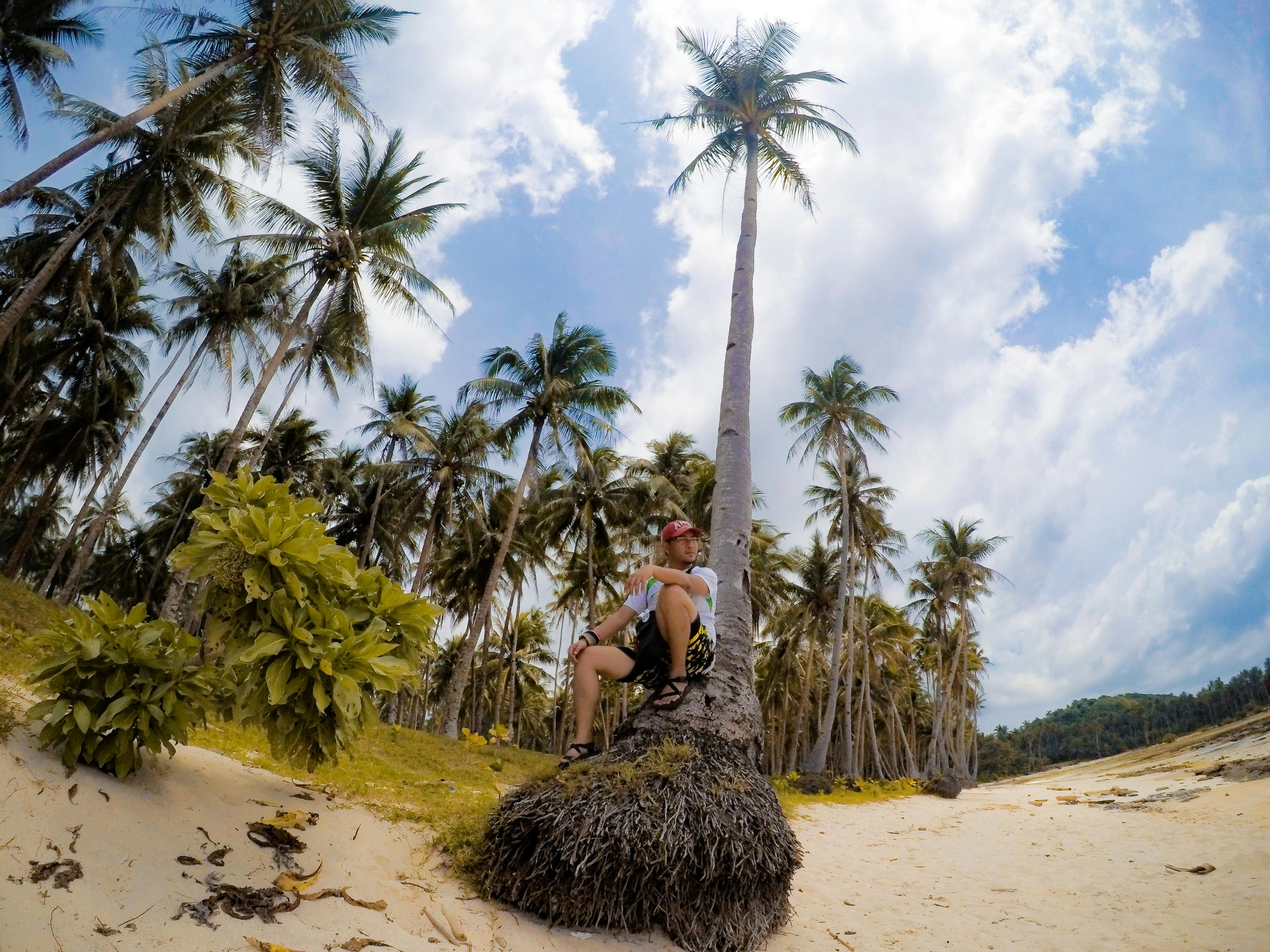 Angkol Peds - 사진