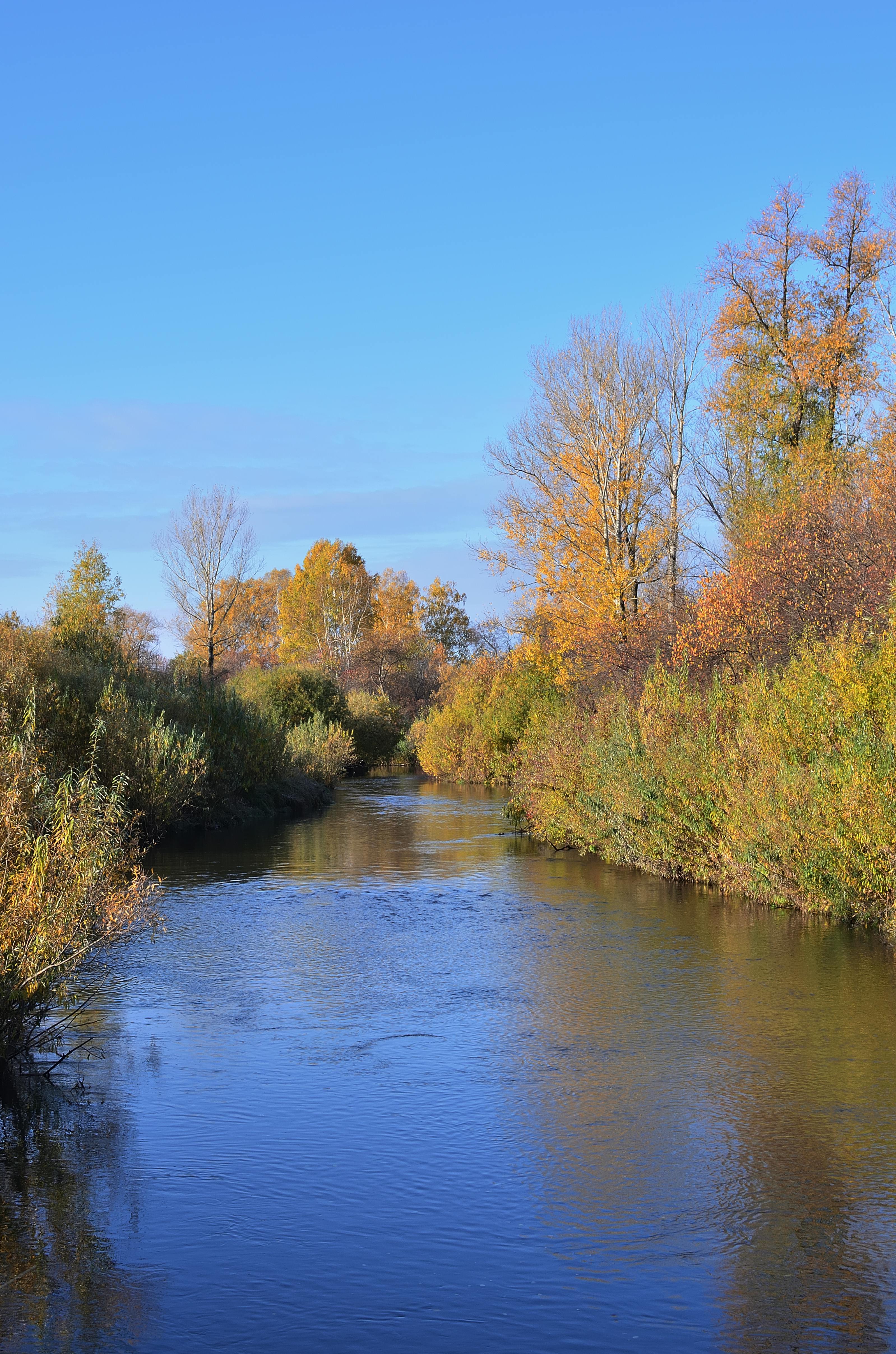 Stadium Flow Photos, Download Free Stadium Flow Stock Photos & HD Images