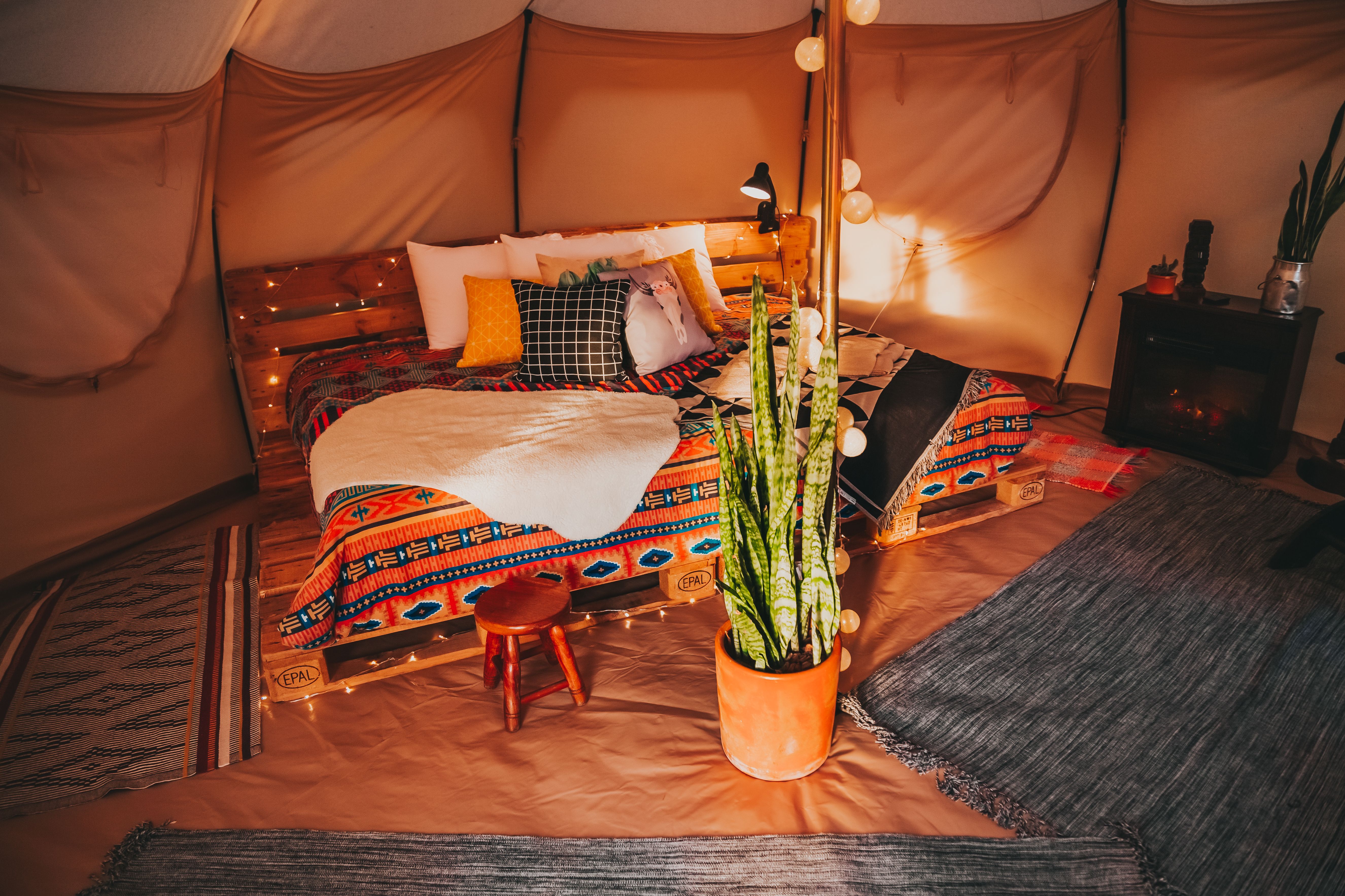 Tent Snakes Photos, Download The BEST Free Tent Snakes Stock Photos ...