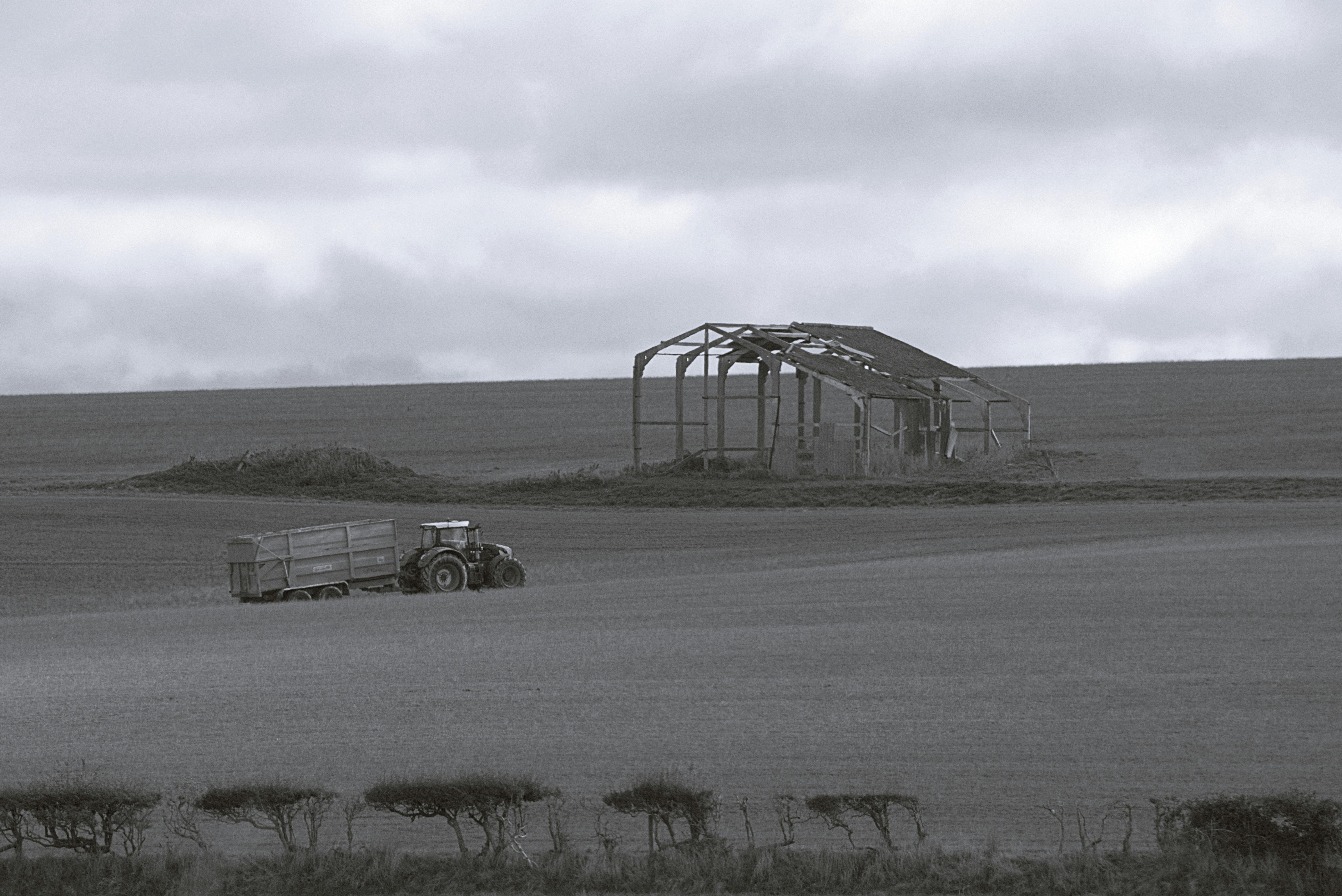 Grayscale Photo of Grass Field · Free Stock Photo