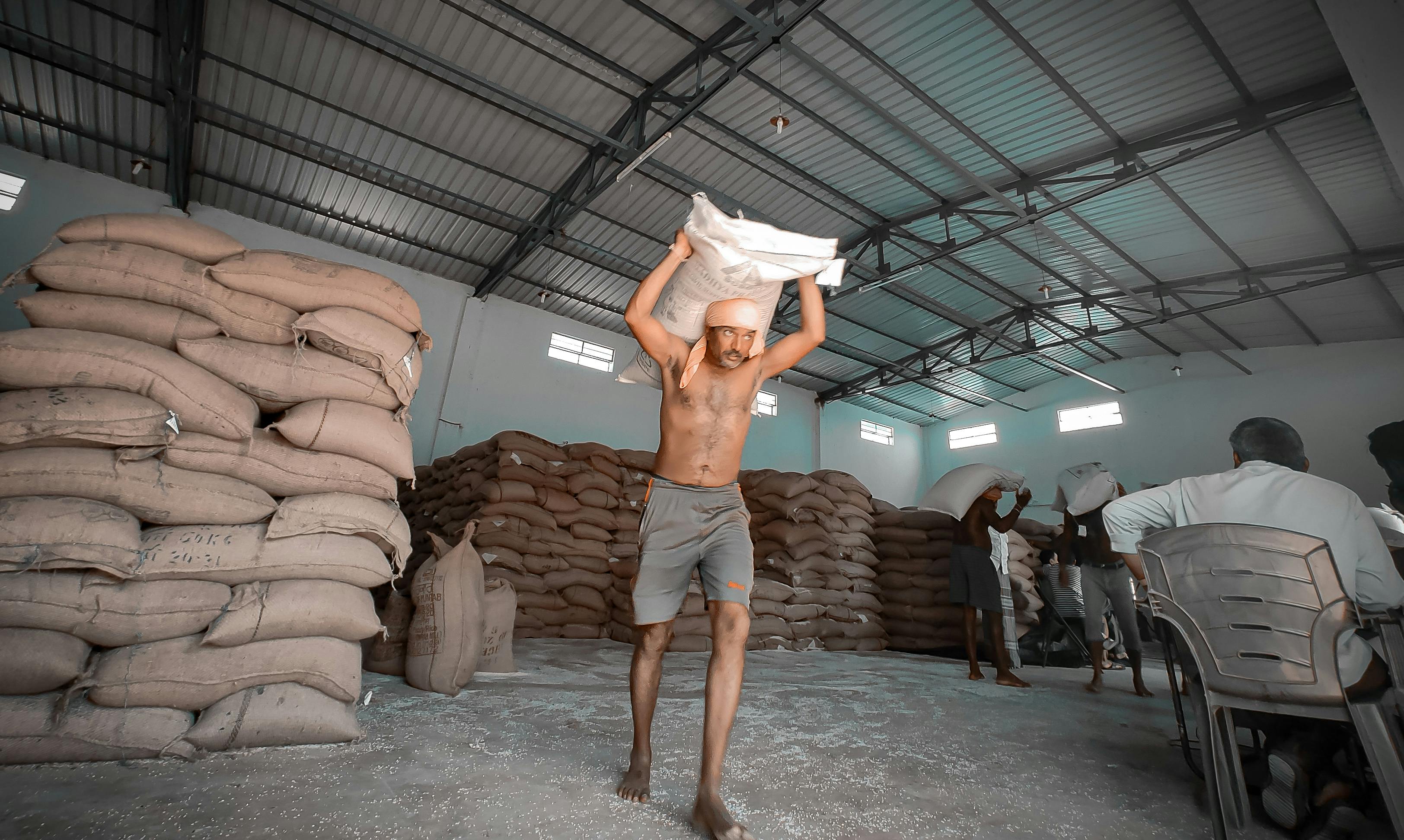 Woman Pulling Big Sack with Vegetables · Free Stock Photo