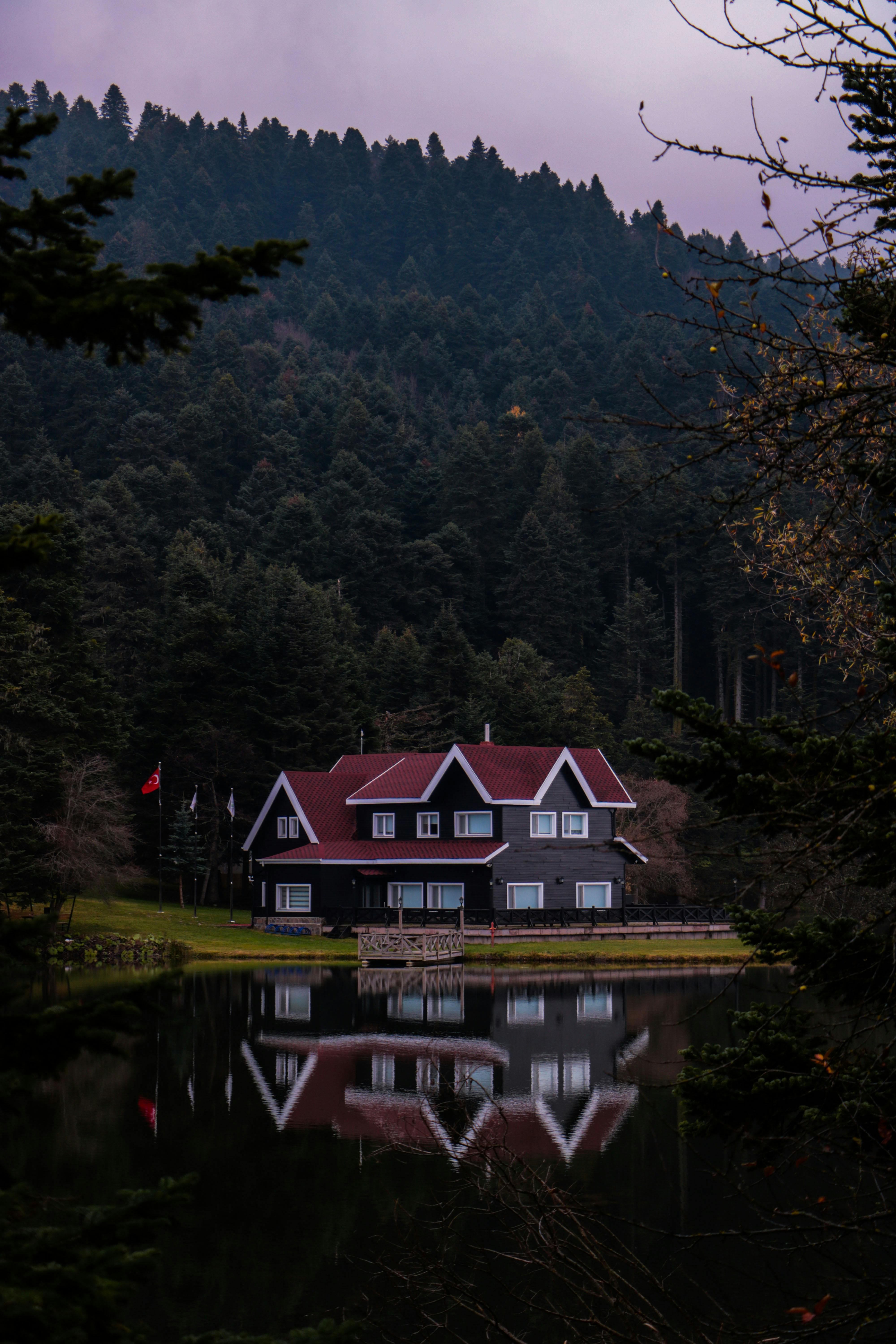 Young Man on Concrete Shore · Free Stock Photo