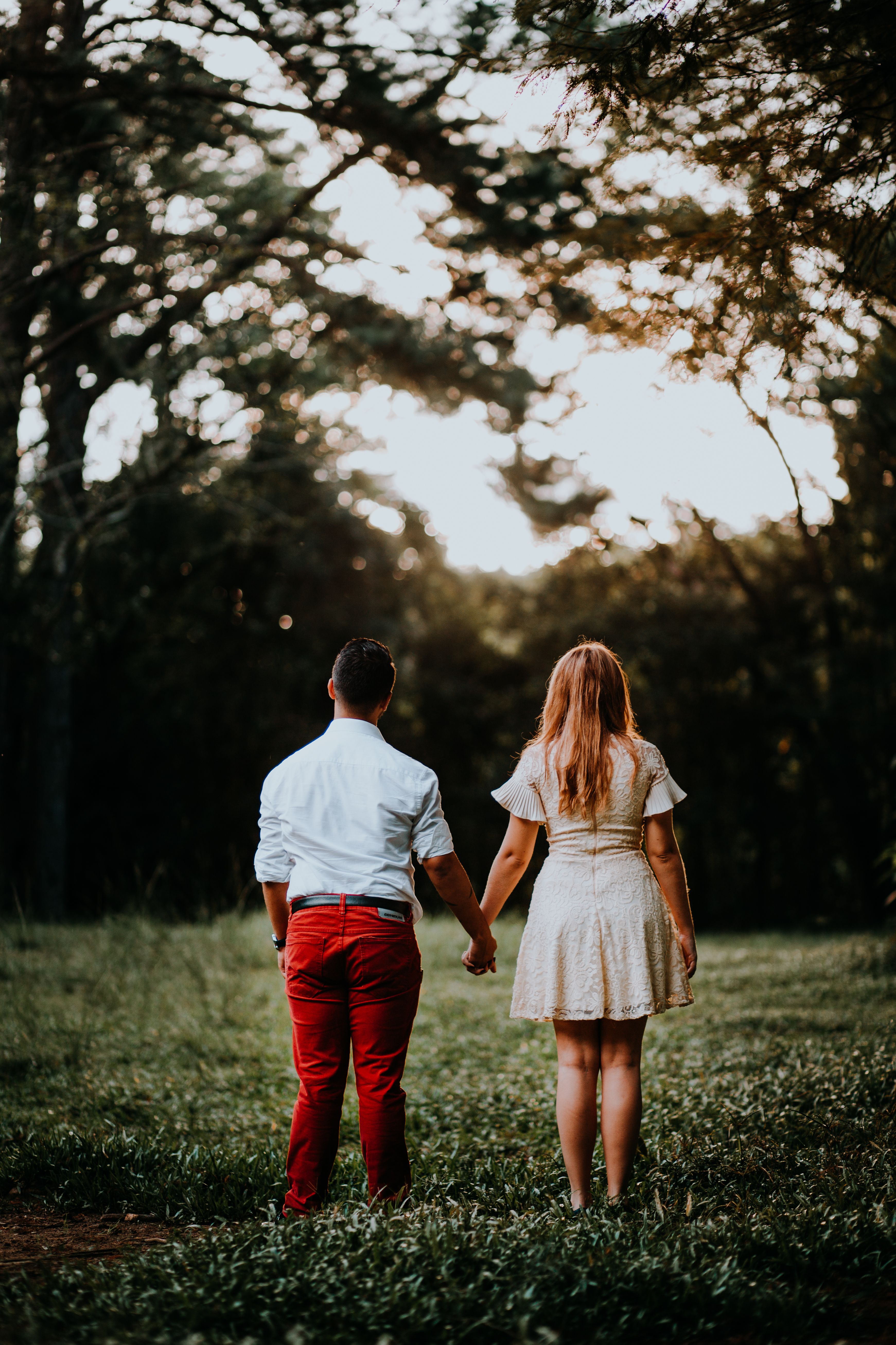 Back View of a Couple Doing Holding hands · Free Stock Photo