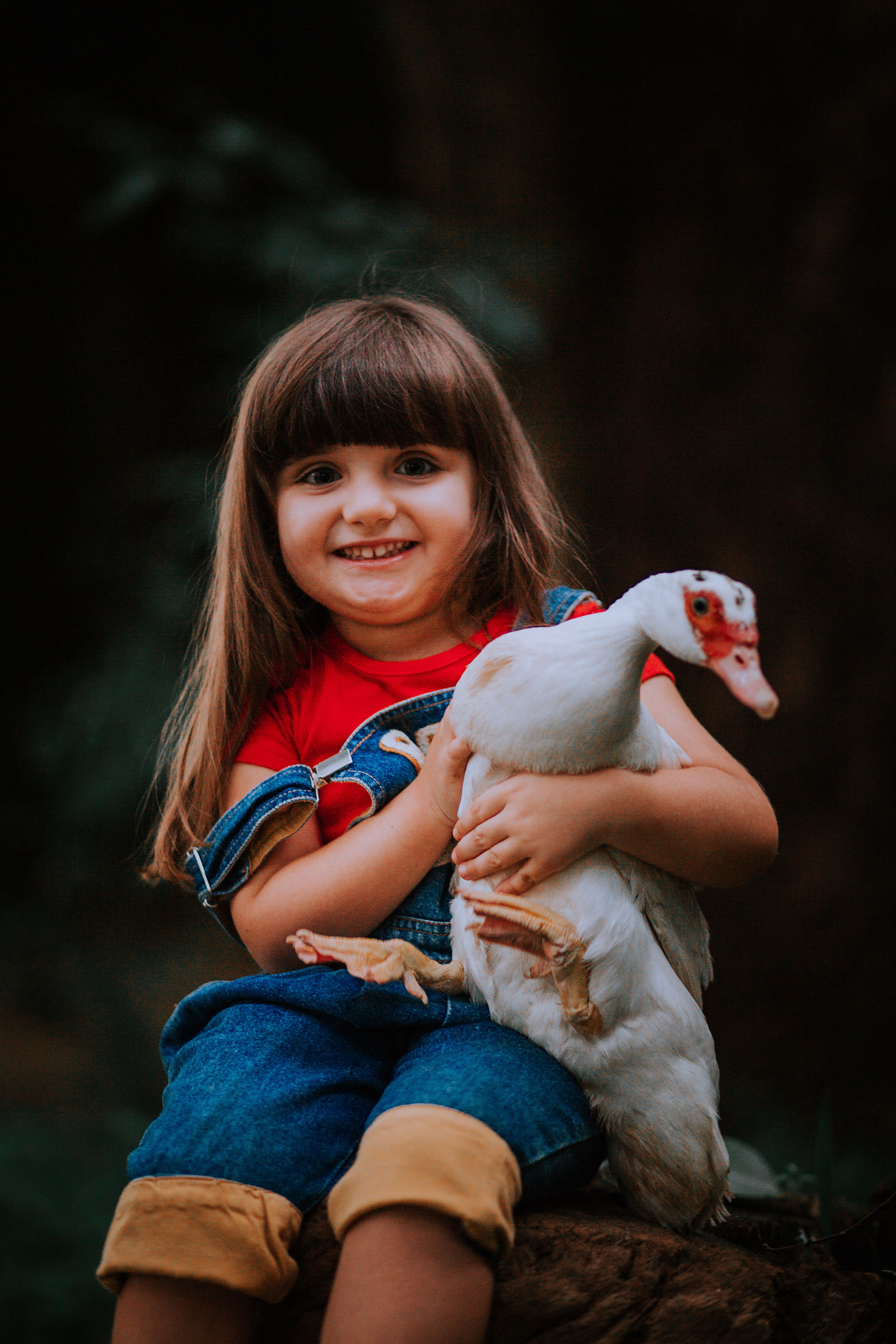 Girl Holding a White Duck · Free Stock Photo