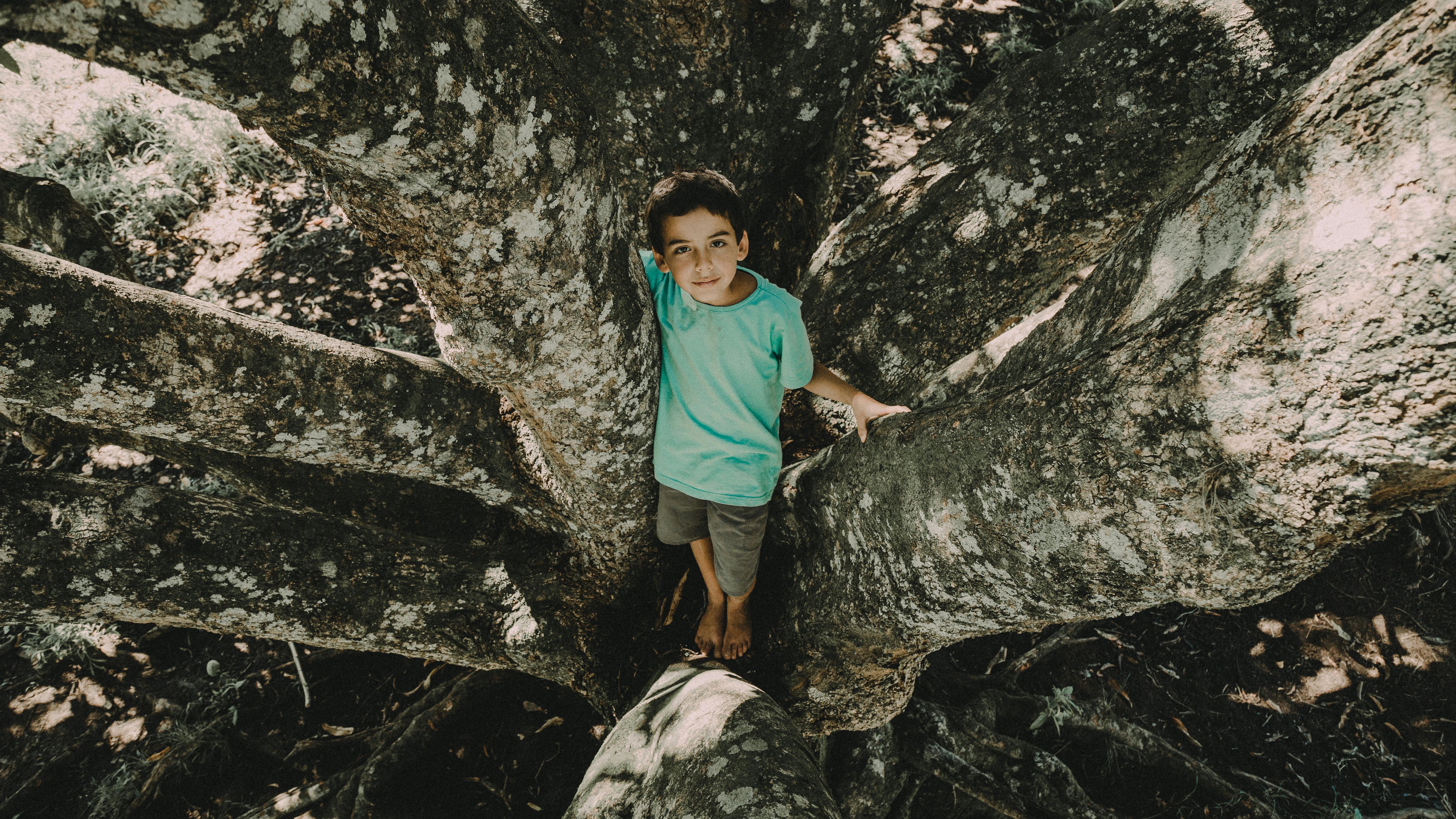 Photo of Kid on a Tree · Free Stock Photo