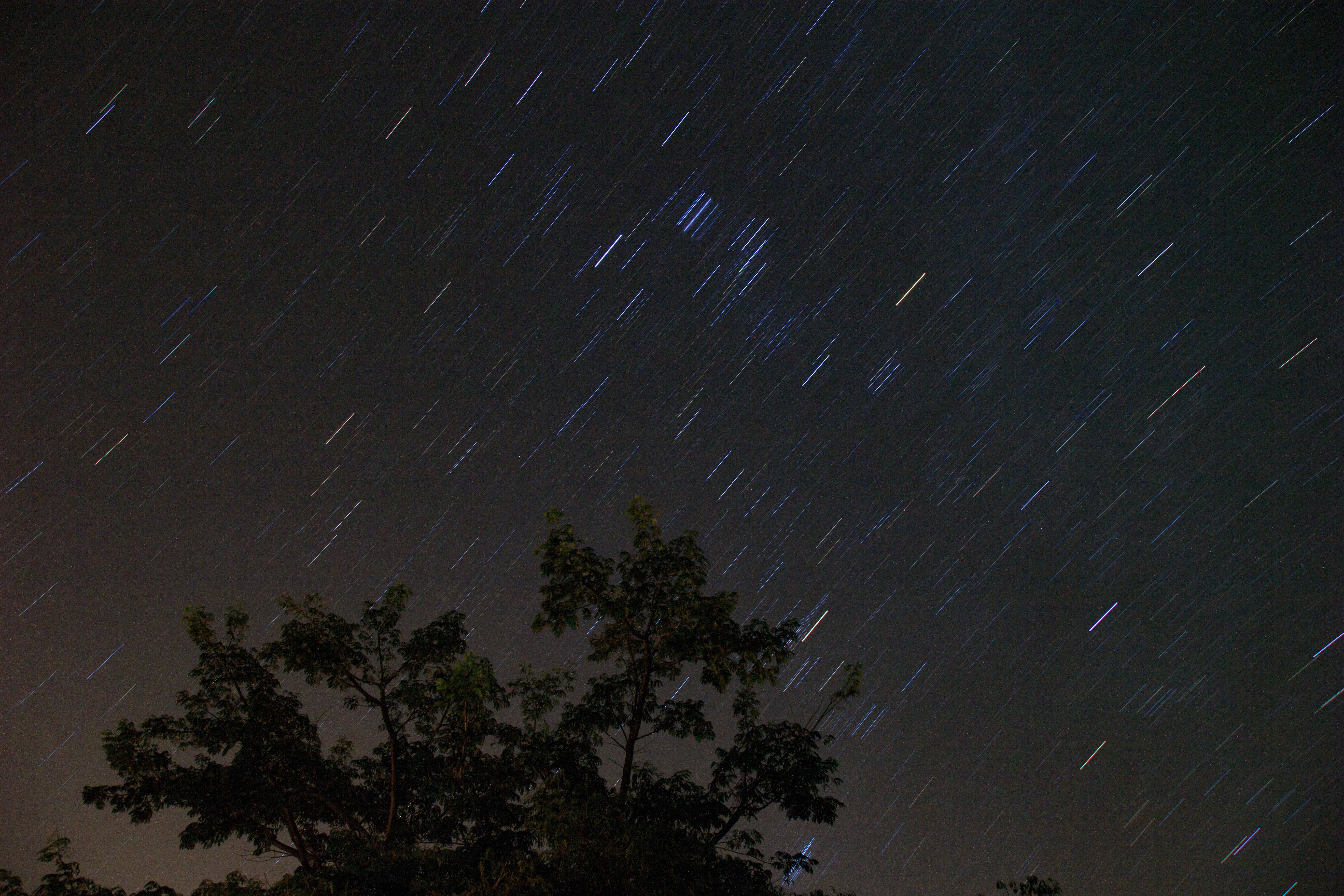 Blurred Motion of Stars in Night · Free Stock Photo