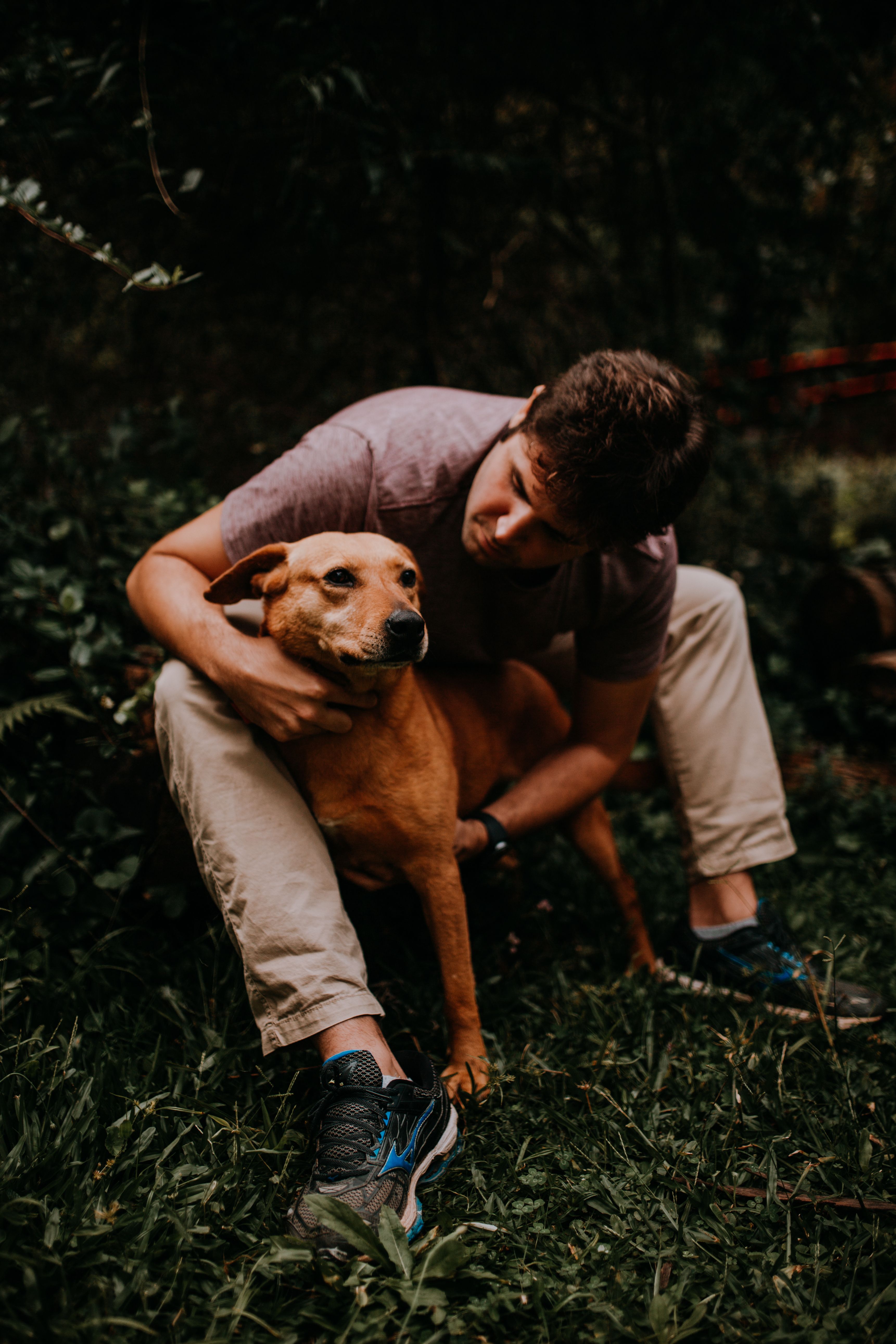 Men Petting Dog · Free Stock Photo