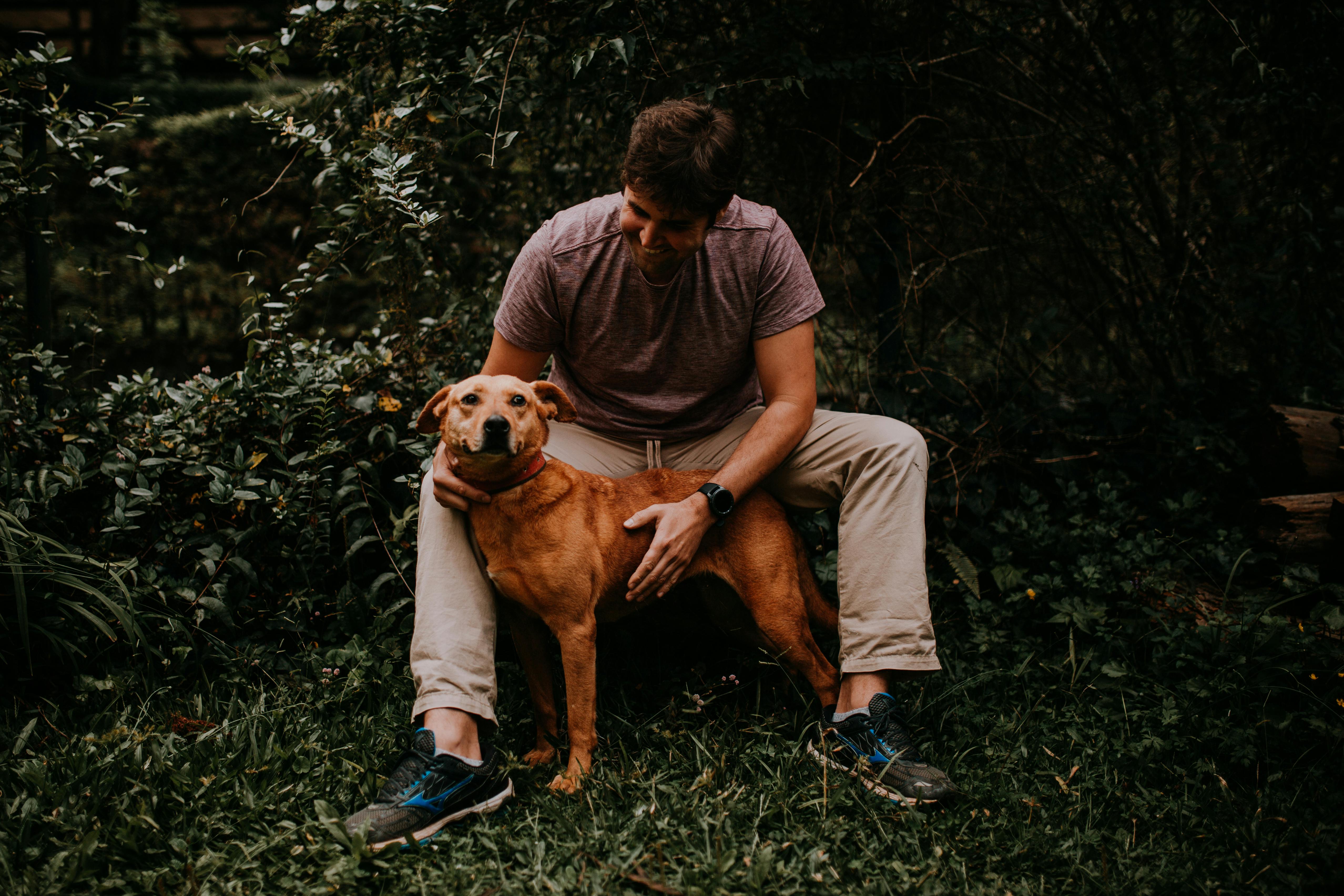 Man Petting a Brown Dog · Free Stock Photo