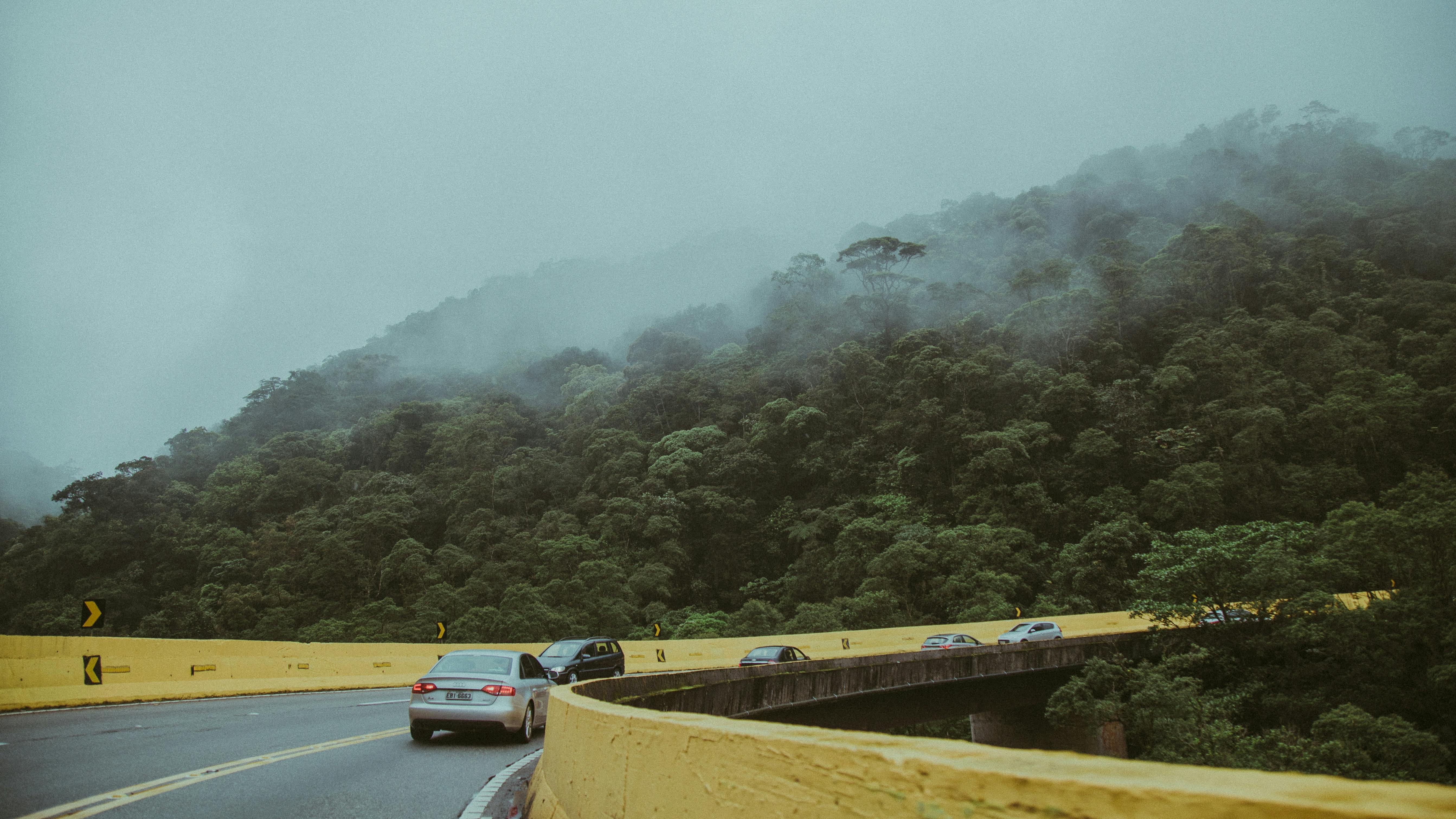Cars on Road Near Green Trees · Free Stock Photo