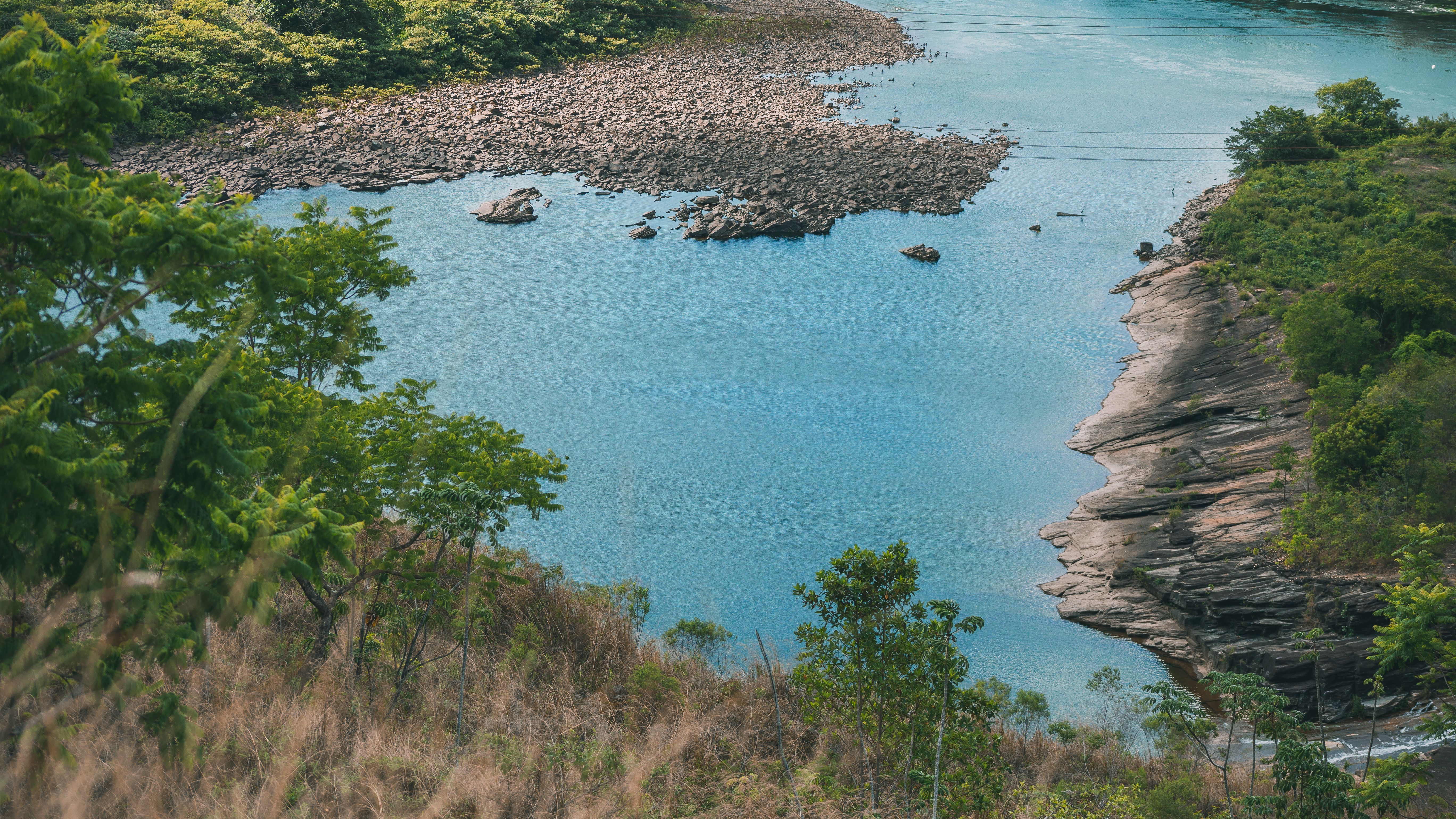 Green Trees Beside Blue River · Free Stock Photo