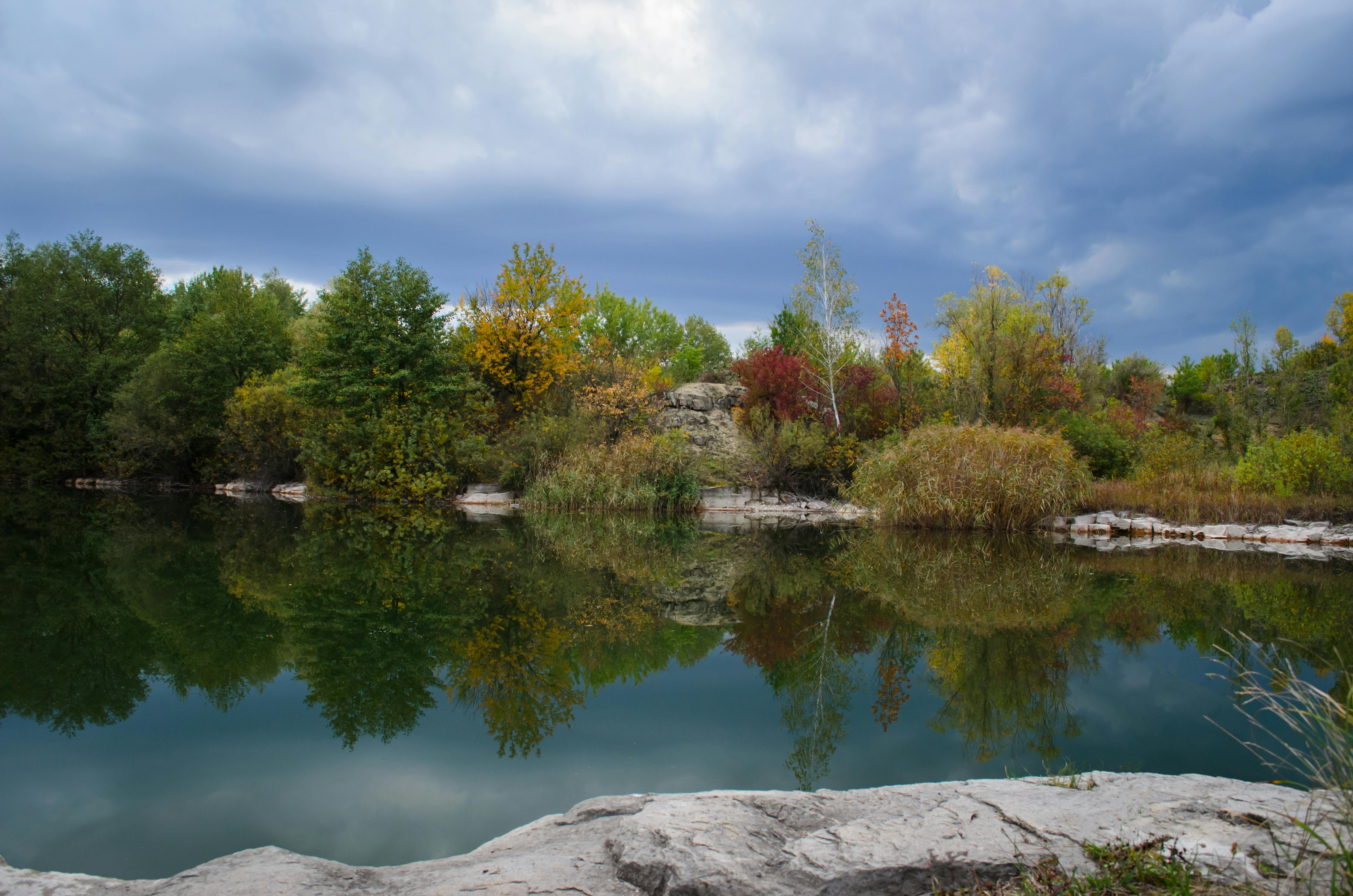 Trees Near Lake · Free Stock Photo