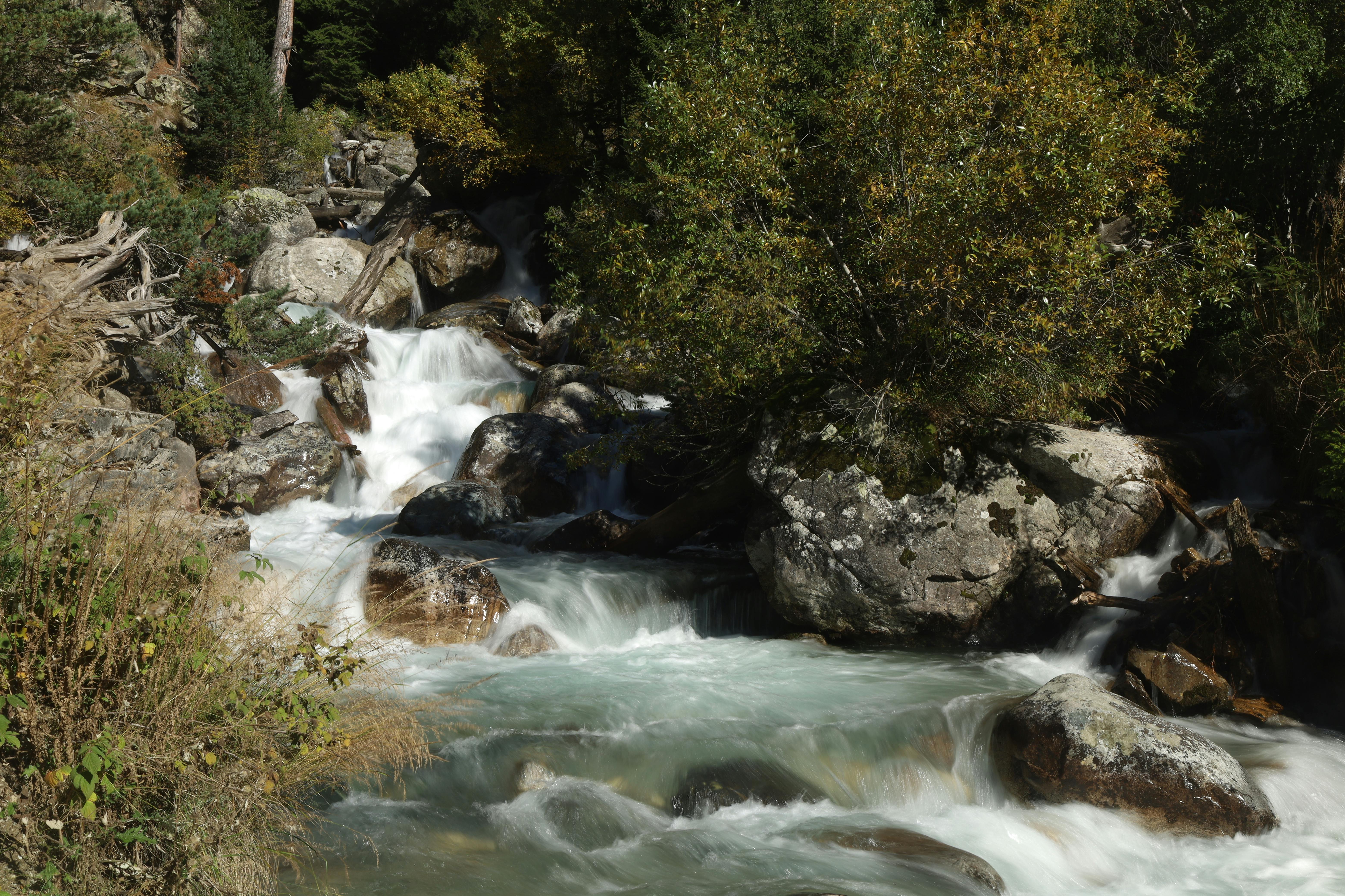Water Flowing on a Rocky River · Free Stock Photo