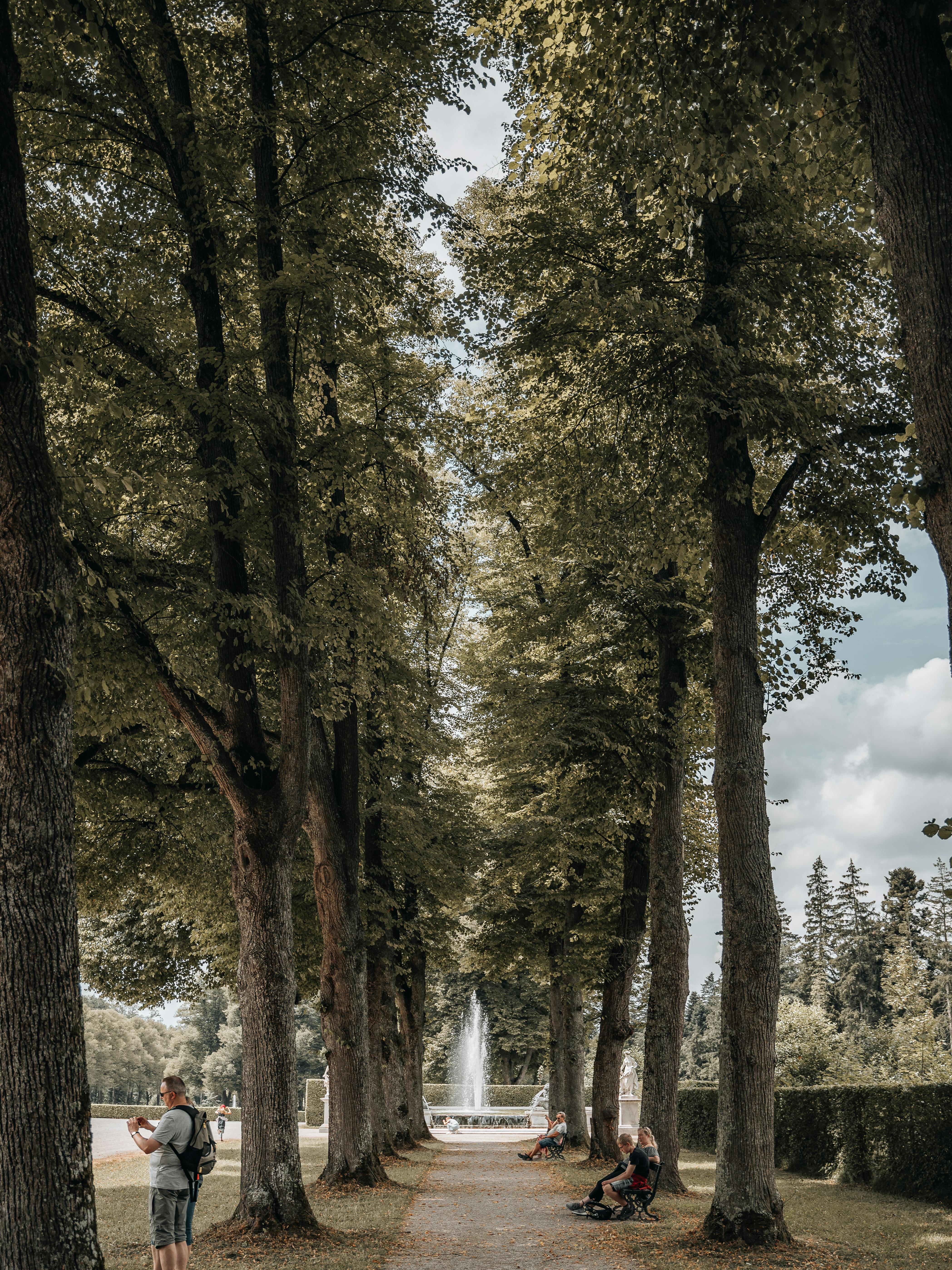 Split Pathway Photos, Download Free Split Pathway Stock Photos & HD Images