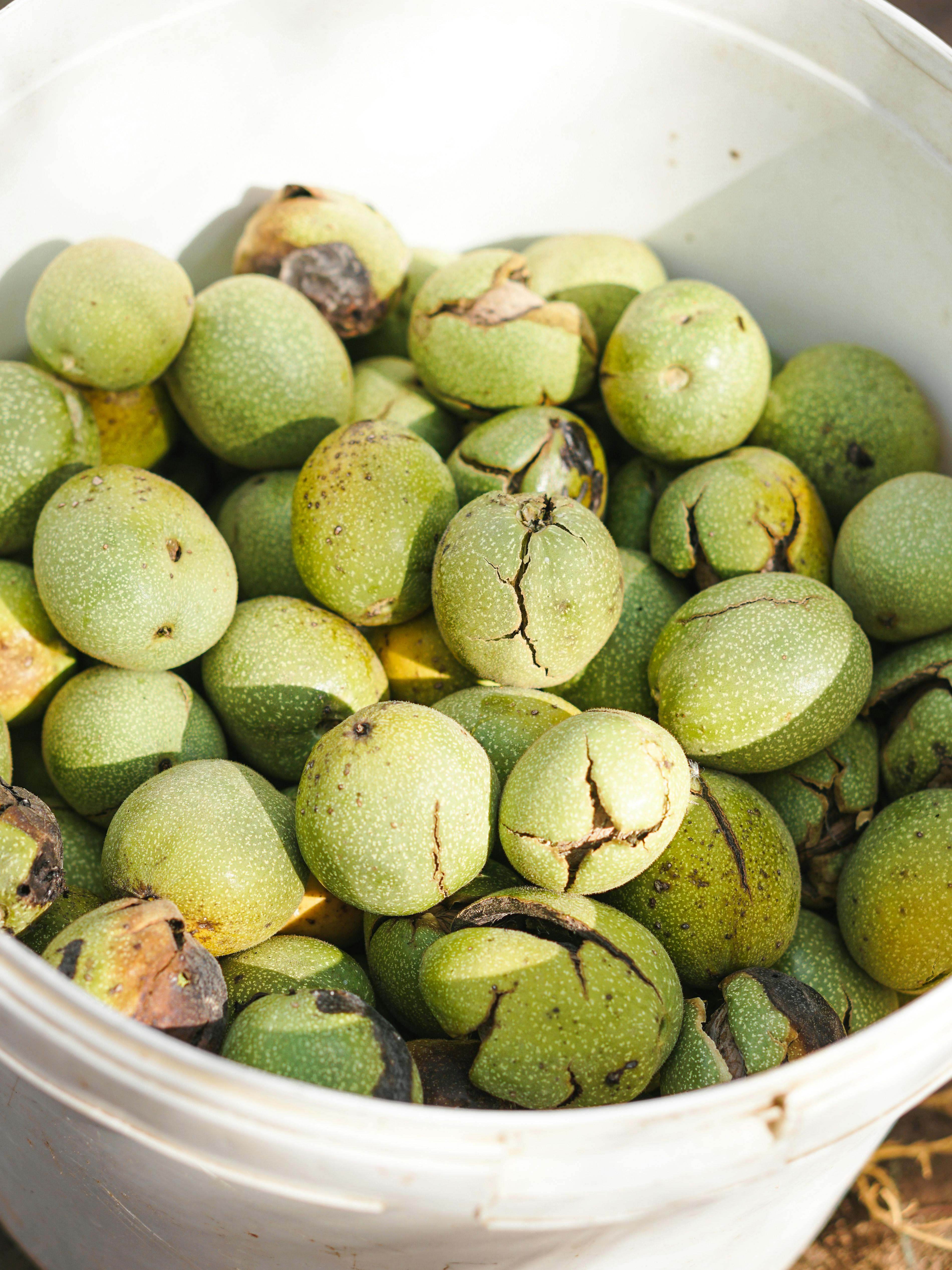 A Close-Up Shot of a Pile of Plums · Free Stock Photo