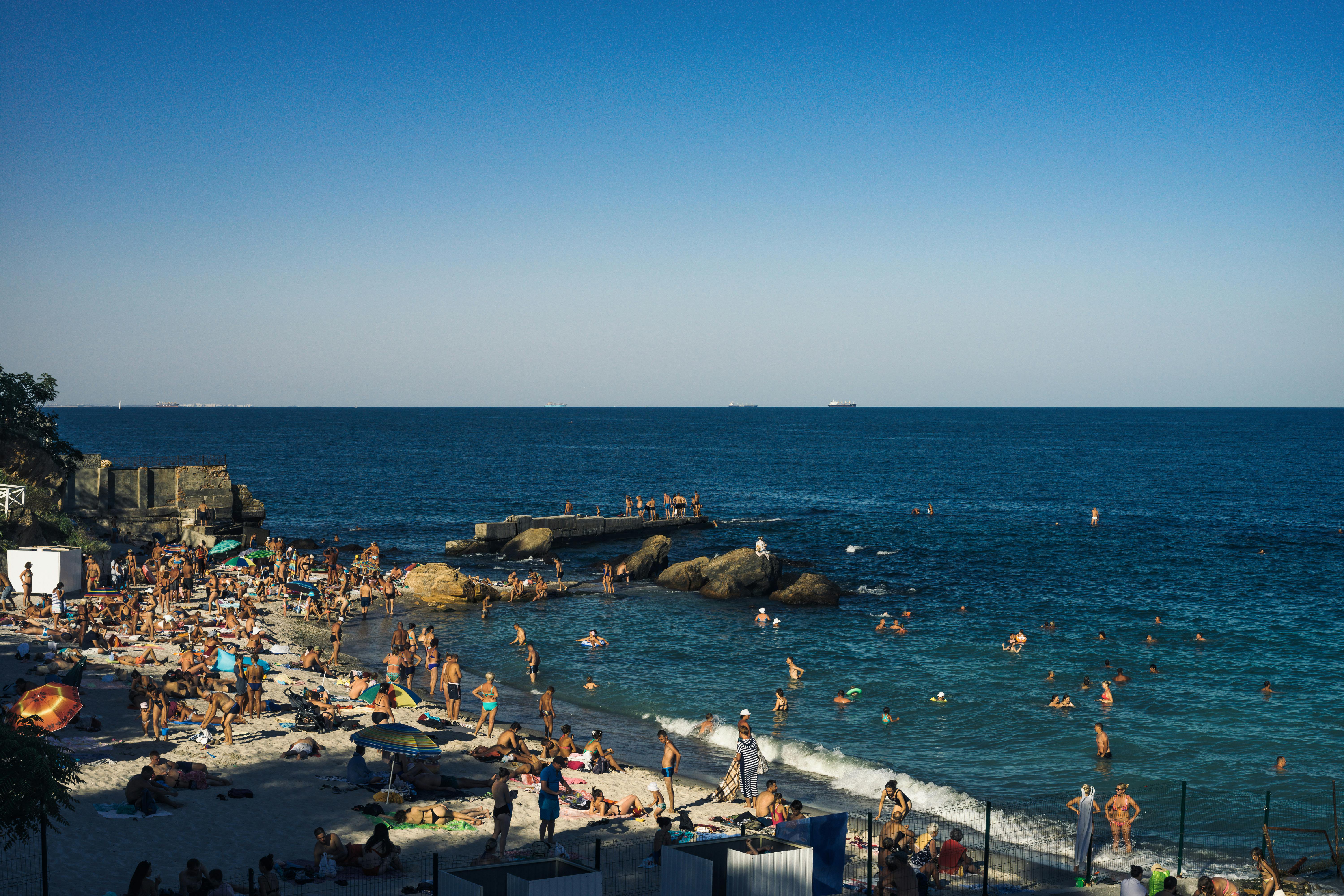People Enjoying the Beach · Free Stock Photo