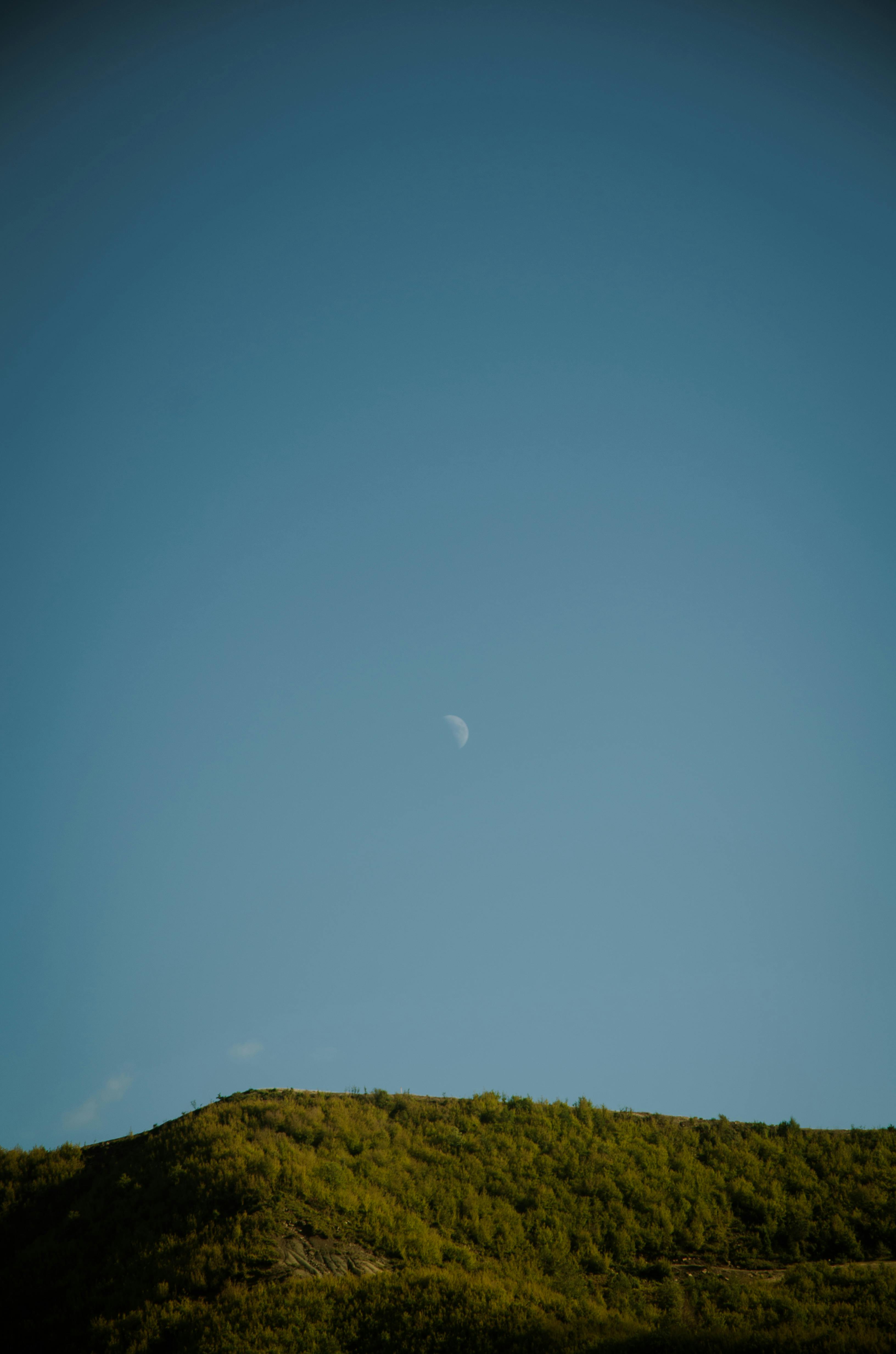 Kashmir Greenery Photos, Download Free Kashmir Greenery Stock Photos ...