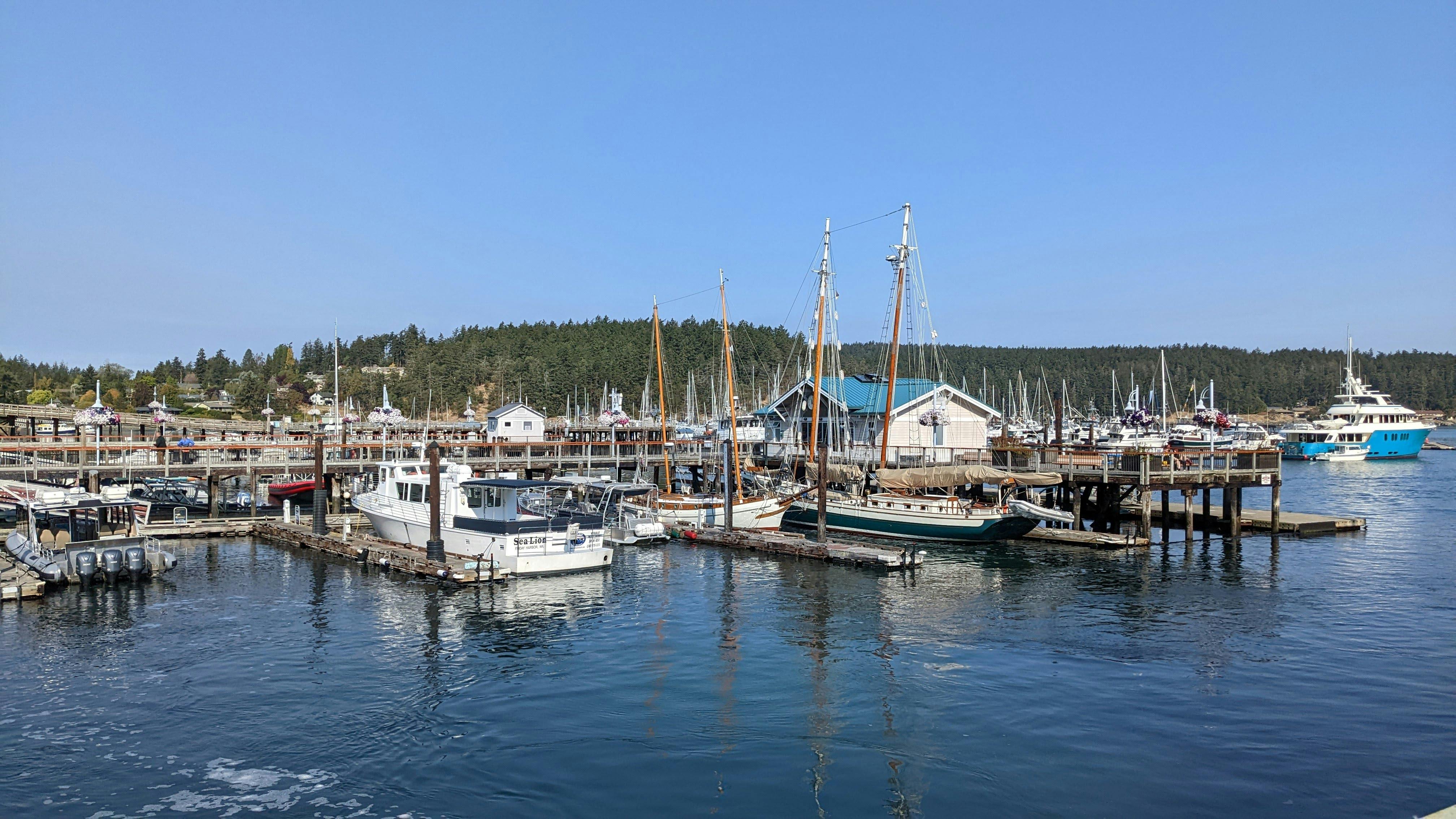 Robert Carnes - 사진