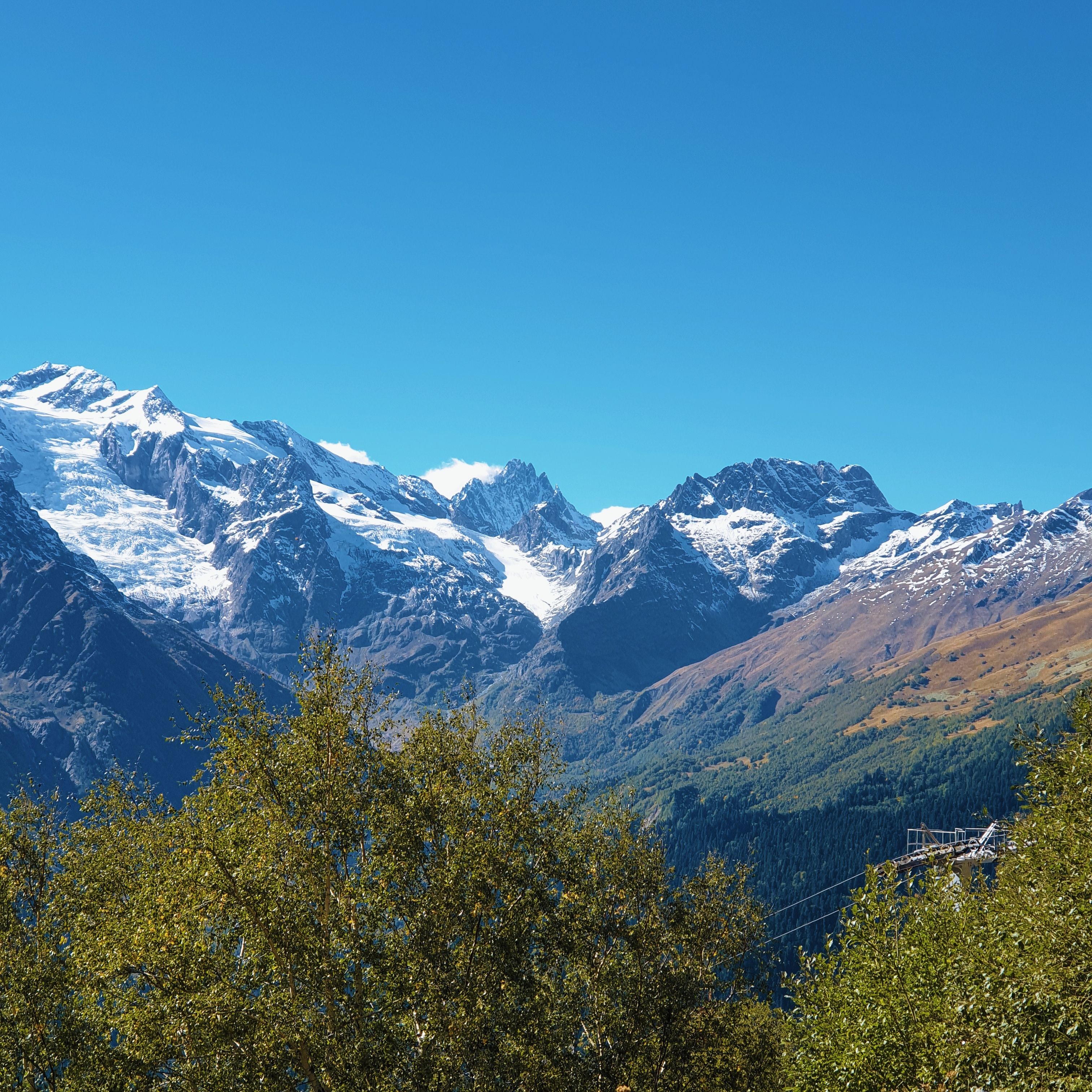 Trees Growing on Hills in Mountains Landscape · Free Stock Photo