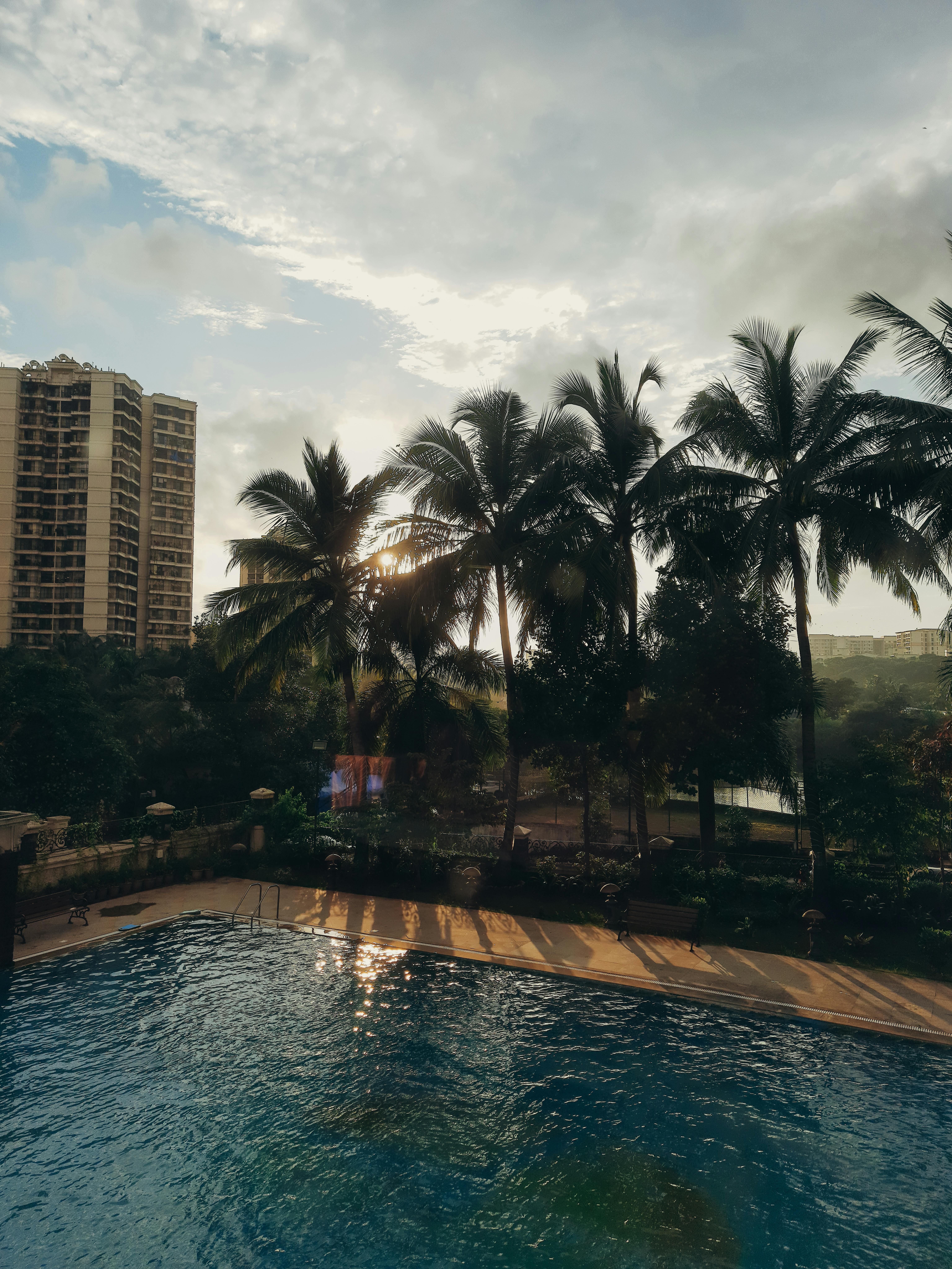 Palm Trees Near Swimming Pool · Free Stock Photo