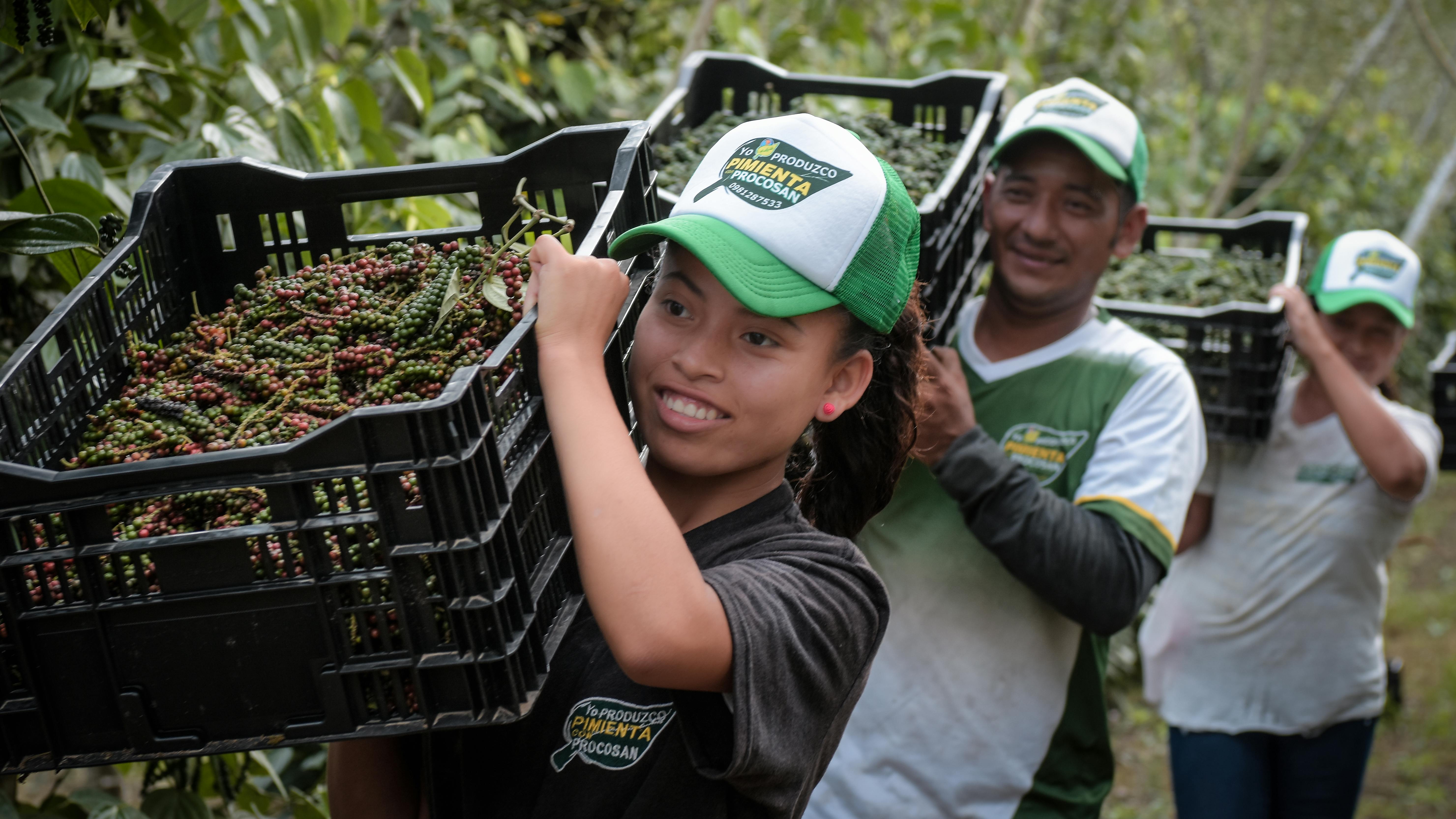 People Carrying Black Crates · Free Stock Photo
