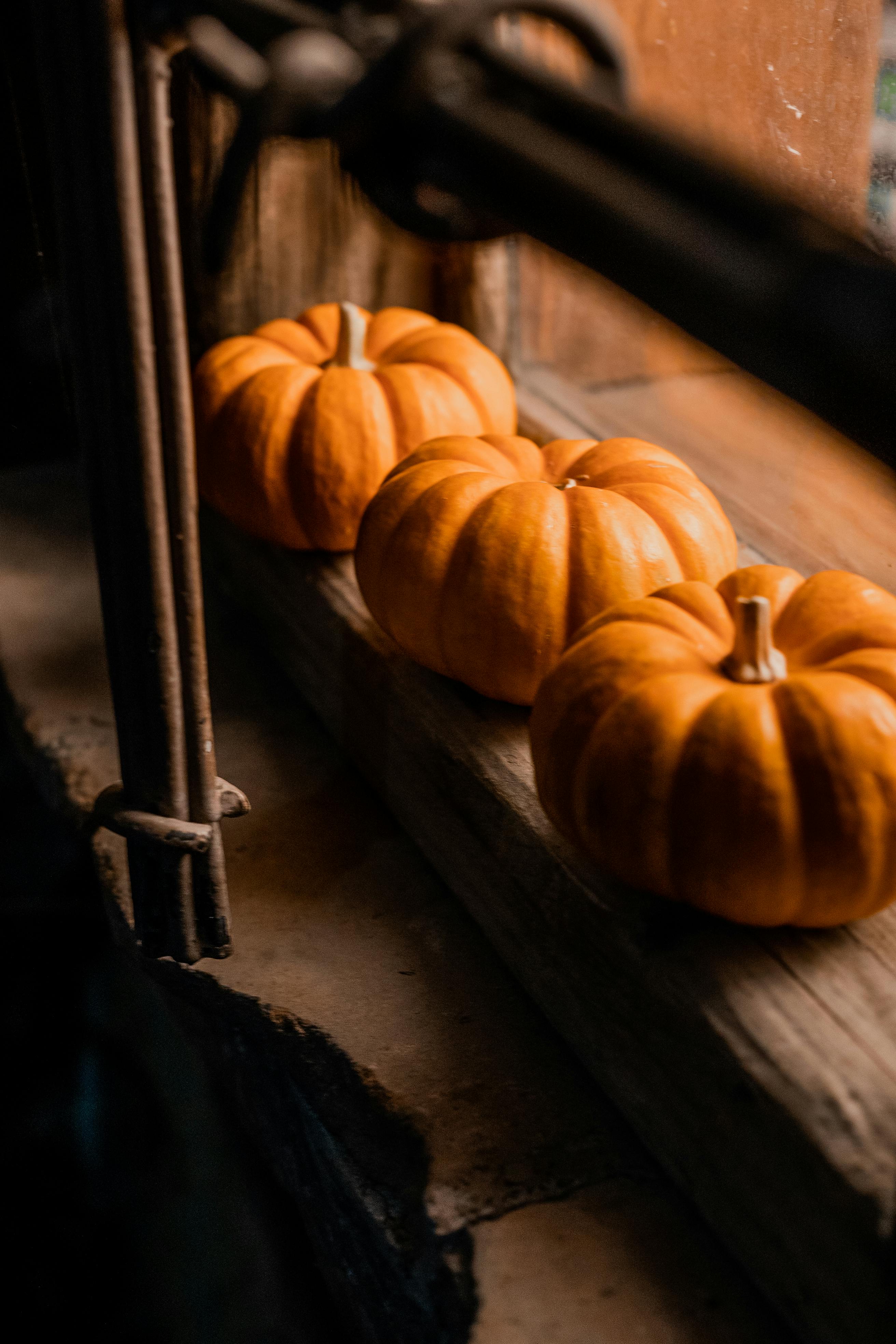 Orange Pumpkin Lot · Free Stock Photo