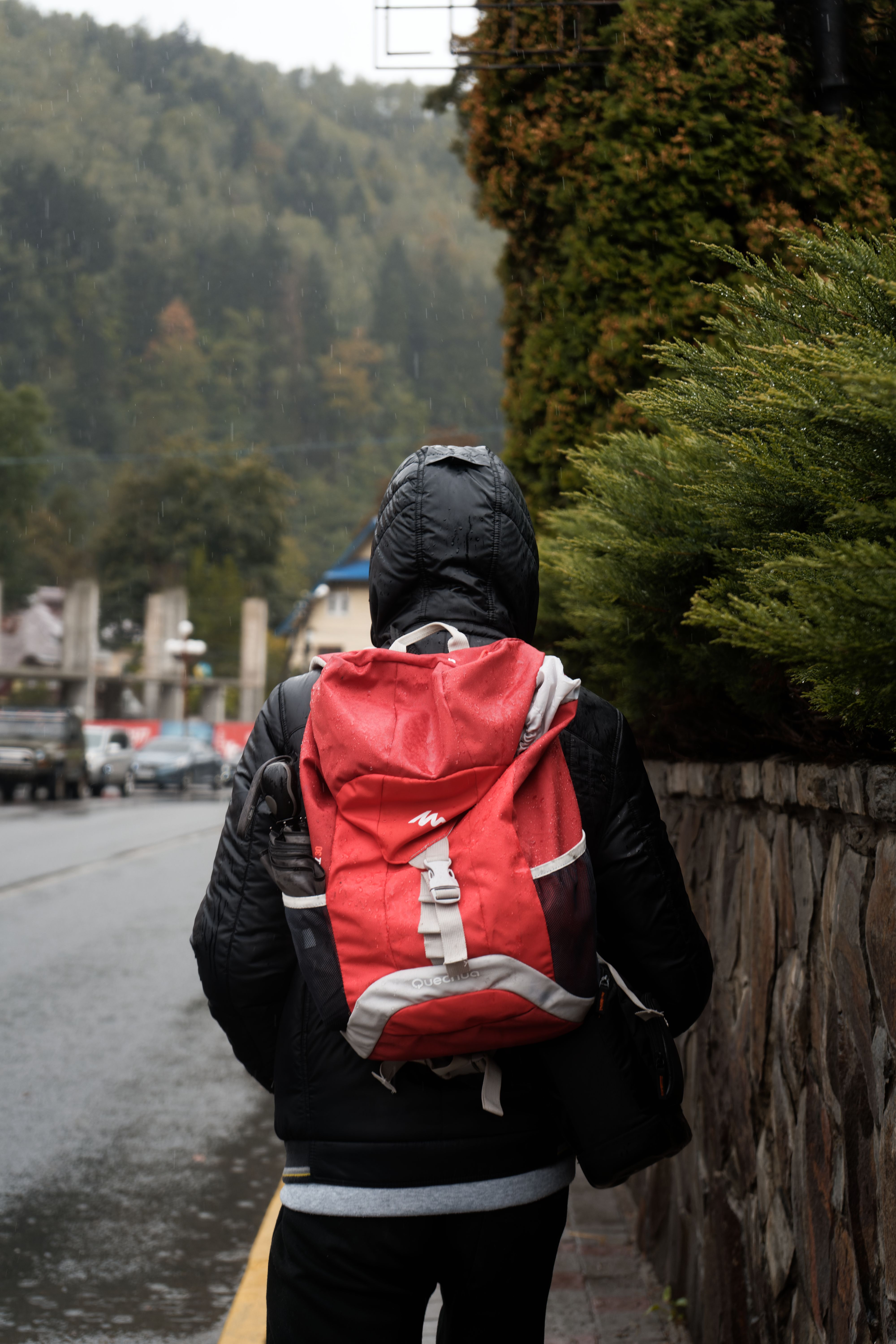Man Carrying a Backpack · Free Stock Photo