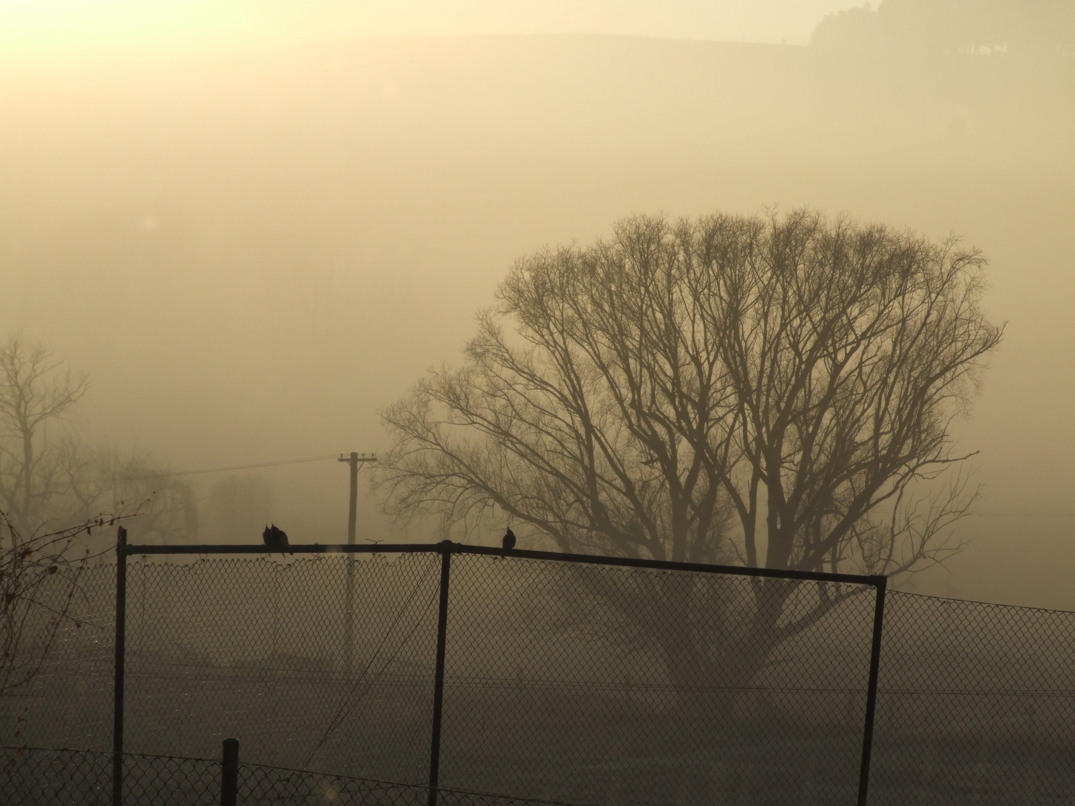 New Dull Photos, Download The BEST Free New Dull Stock Photos & HD Images