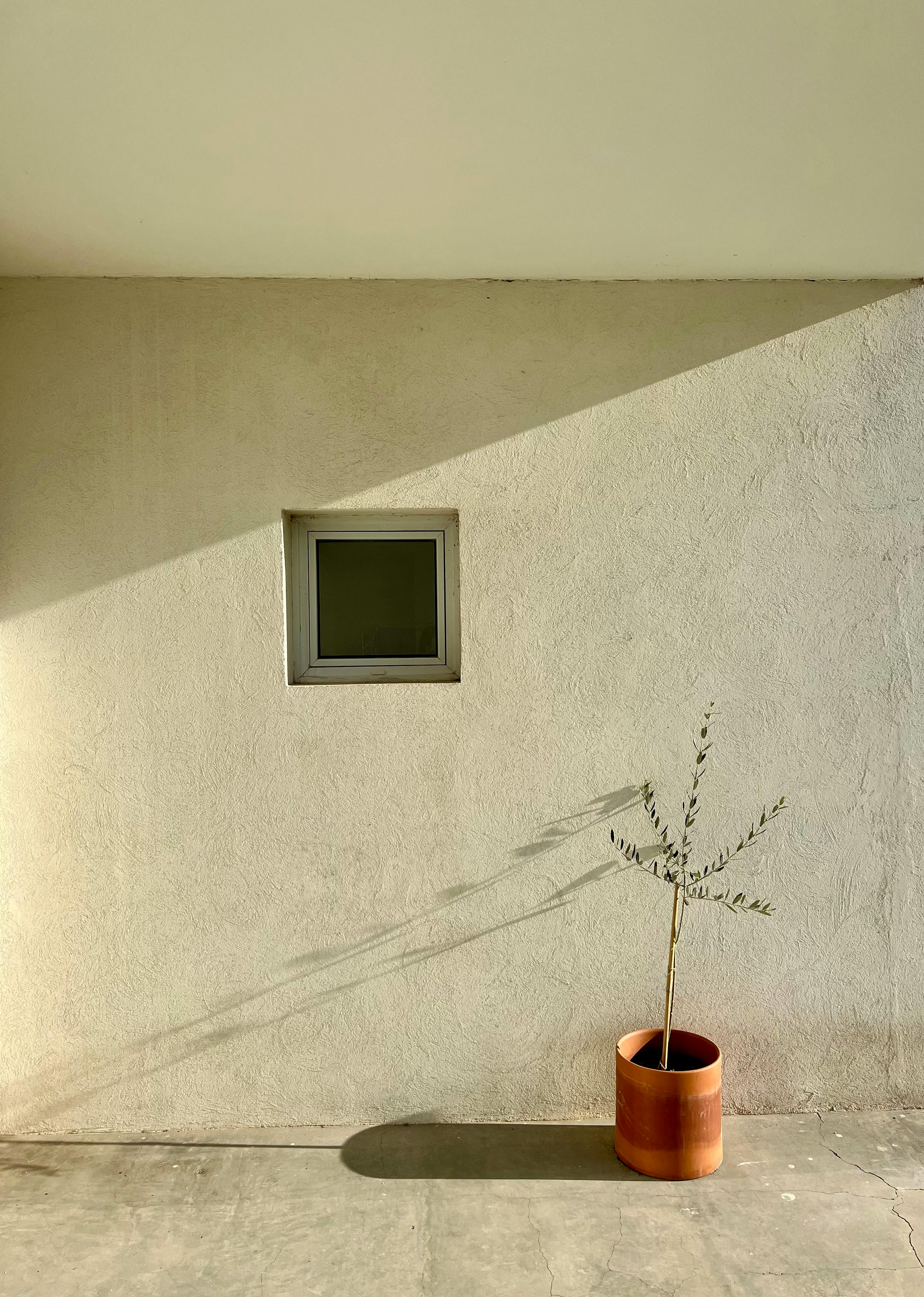 Square Glass Window on a Wall · Free Stock Photo