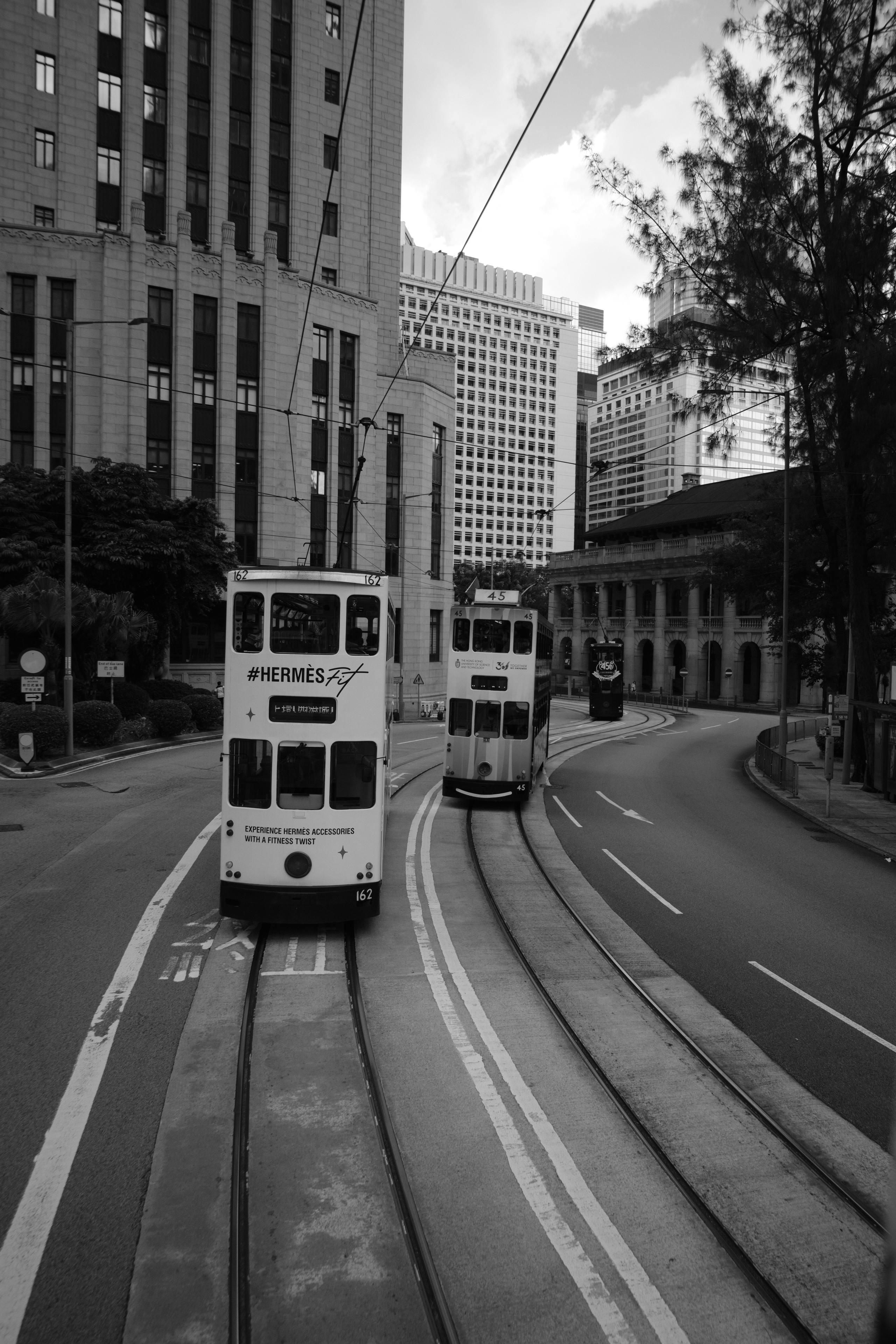 Tim Tim Chan - 写真