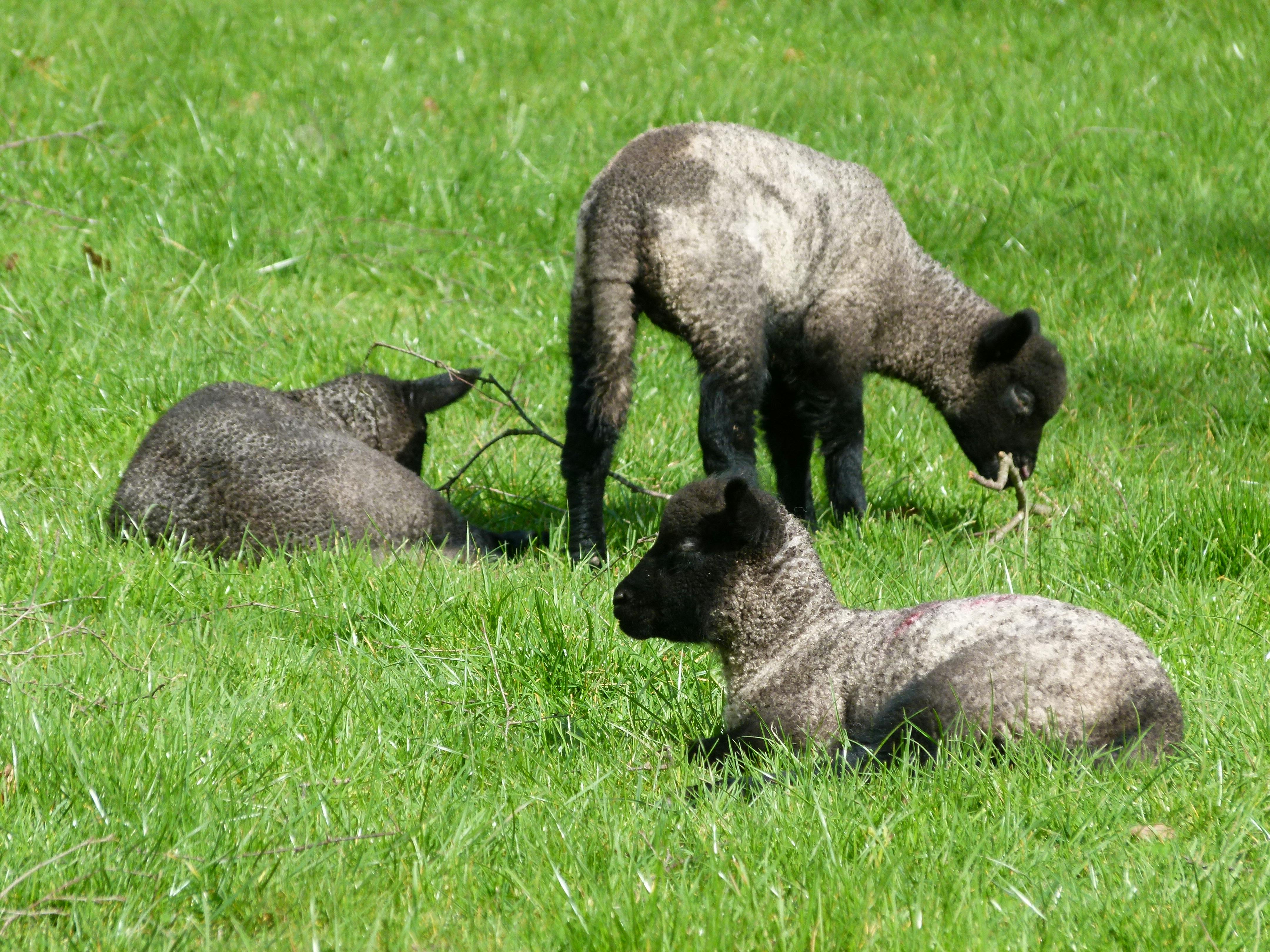 James Goddard - Fotografía