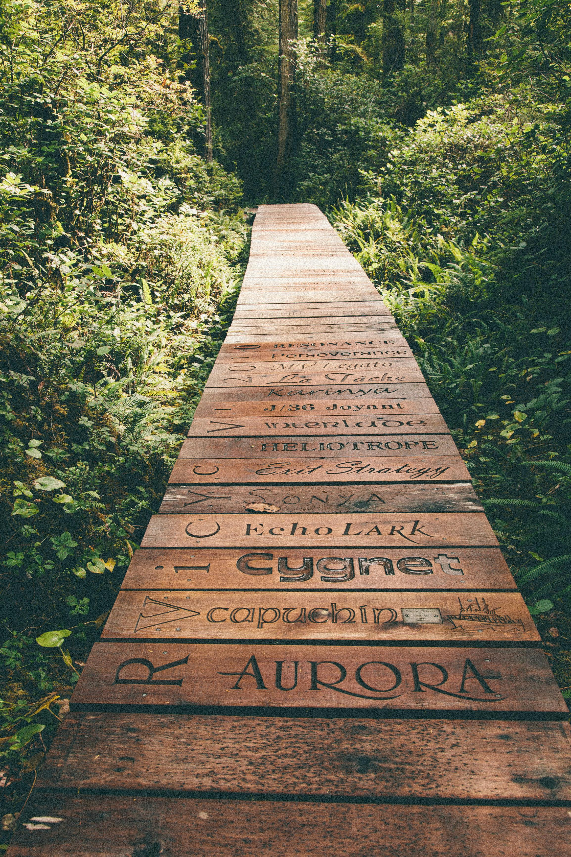 Brown Wooden Bridge Beside Green Grass Field · Free Stock Photo