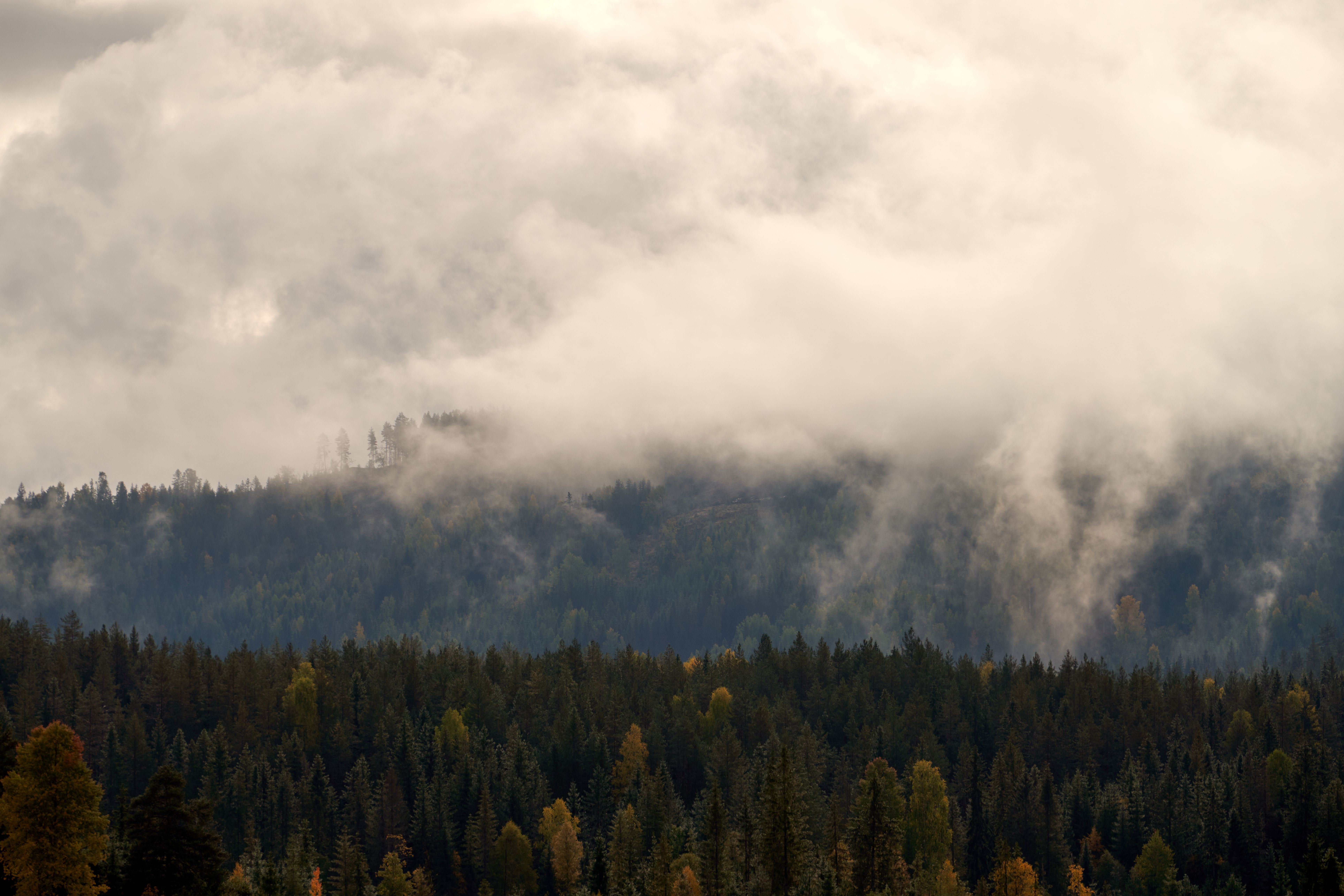 An Aerial Photography of Green Trees on Mountain Under the Cloudy Sky ...