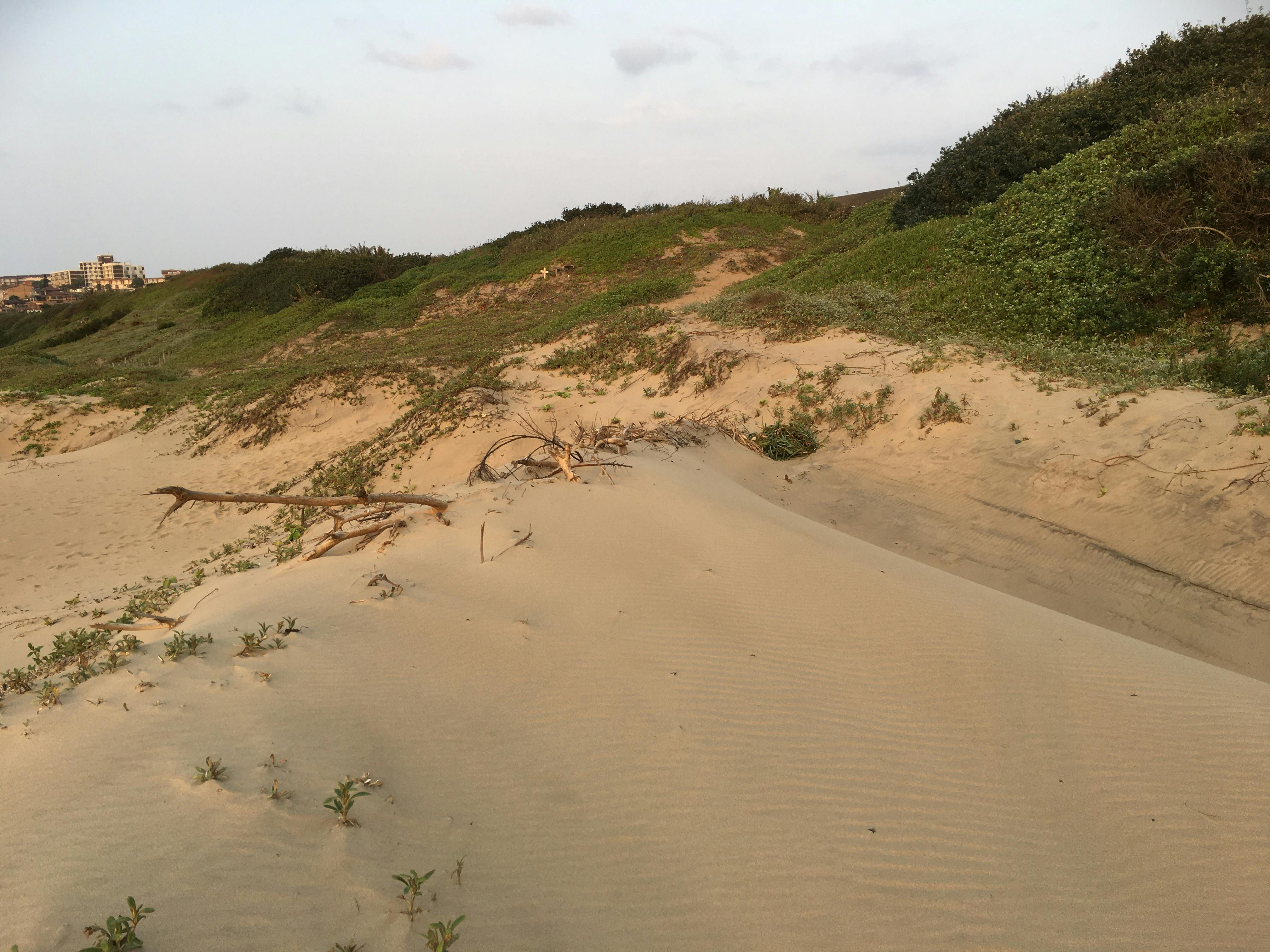 Amajuba Indlu-Inceku - Photography