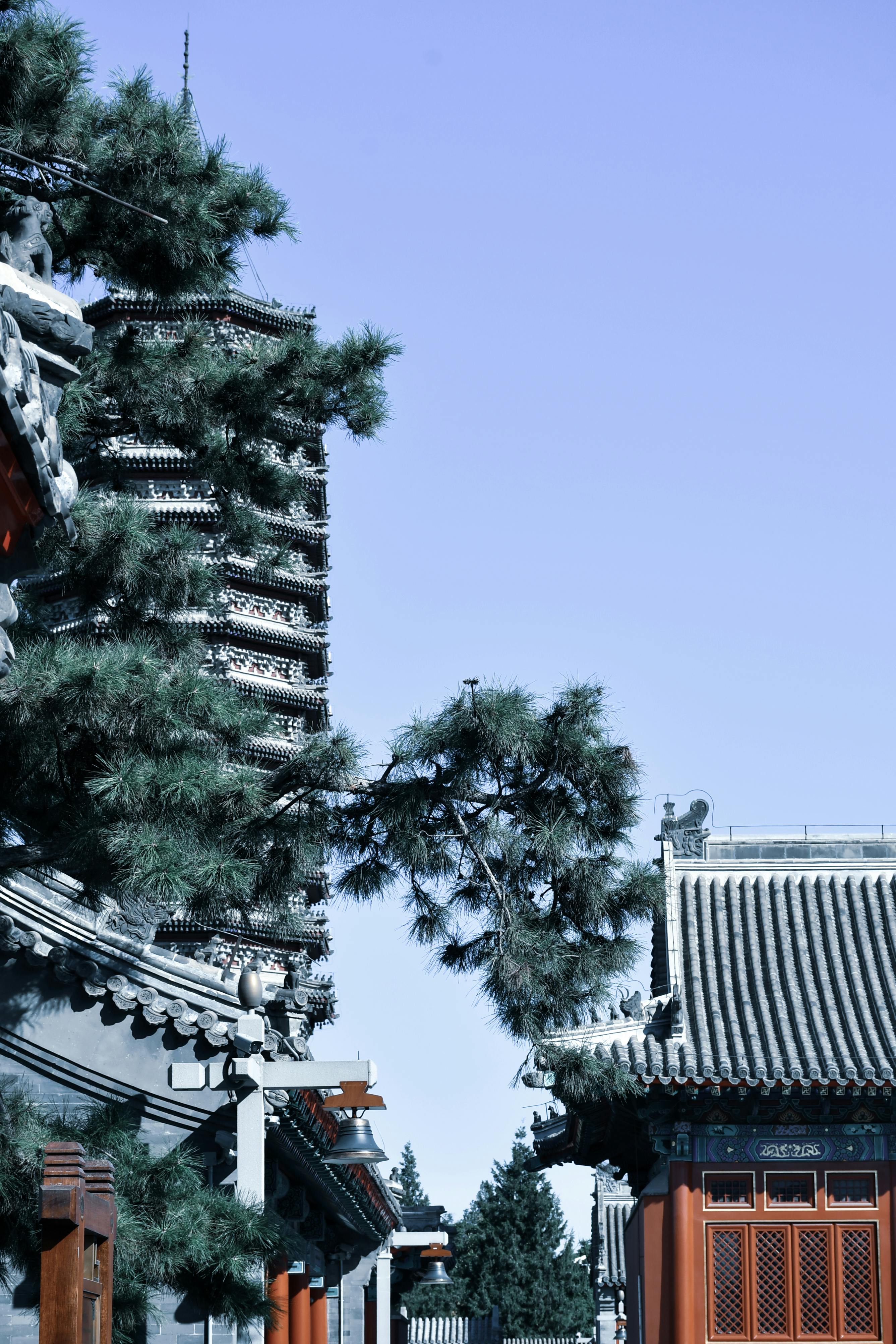 Architectural Photography of Buildings · Free Stock Photo