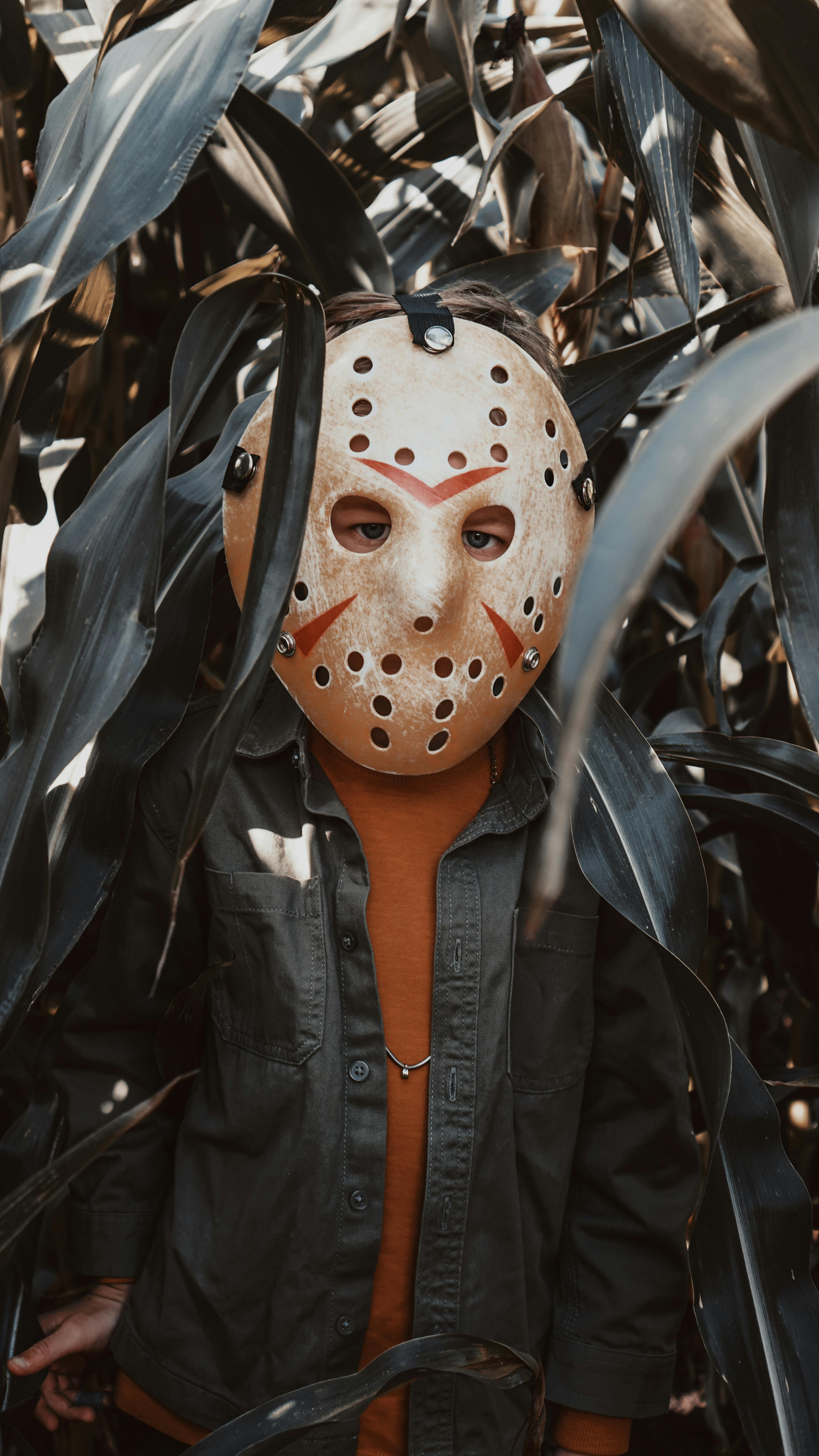 A Boy in a Jason Voorhees Halloween Mask Standing in a Corn Field ...