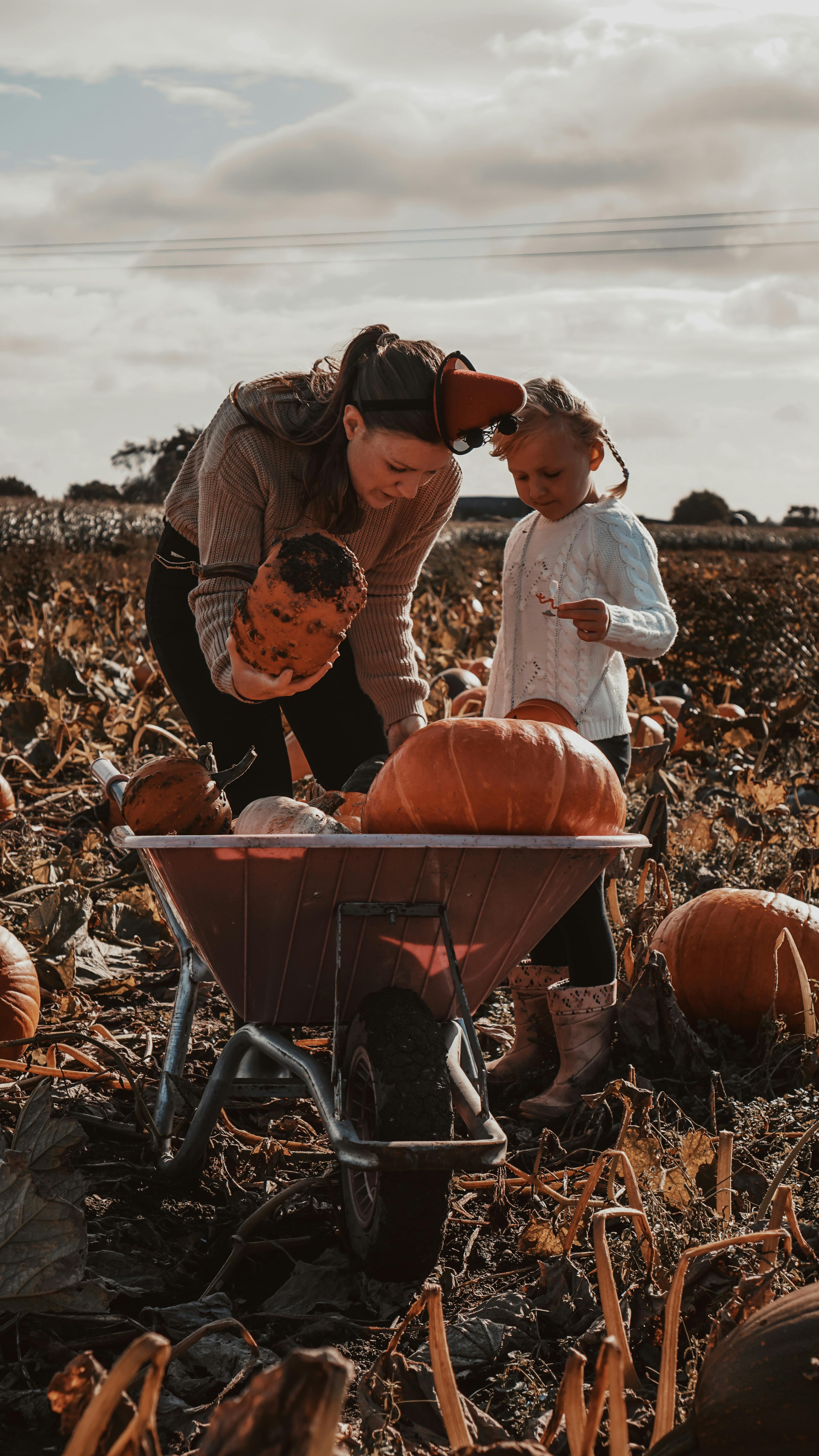 Farm Girl Photos, Download The BEST Free Farm Girl Stock Photos & HD Images