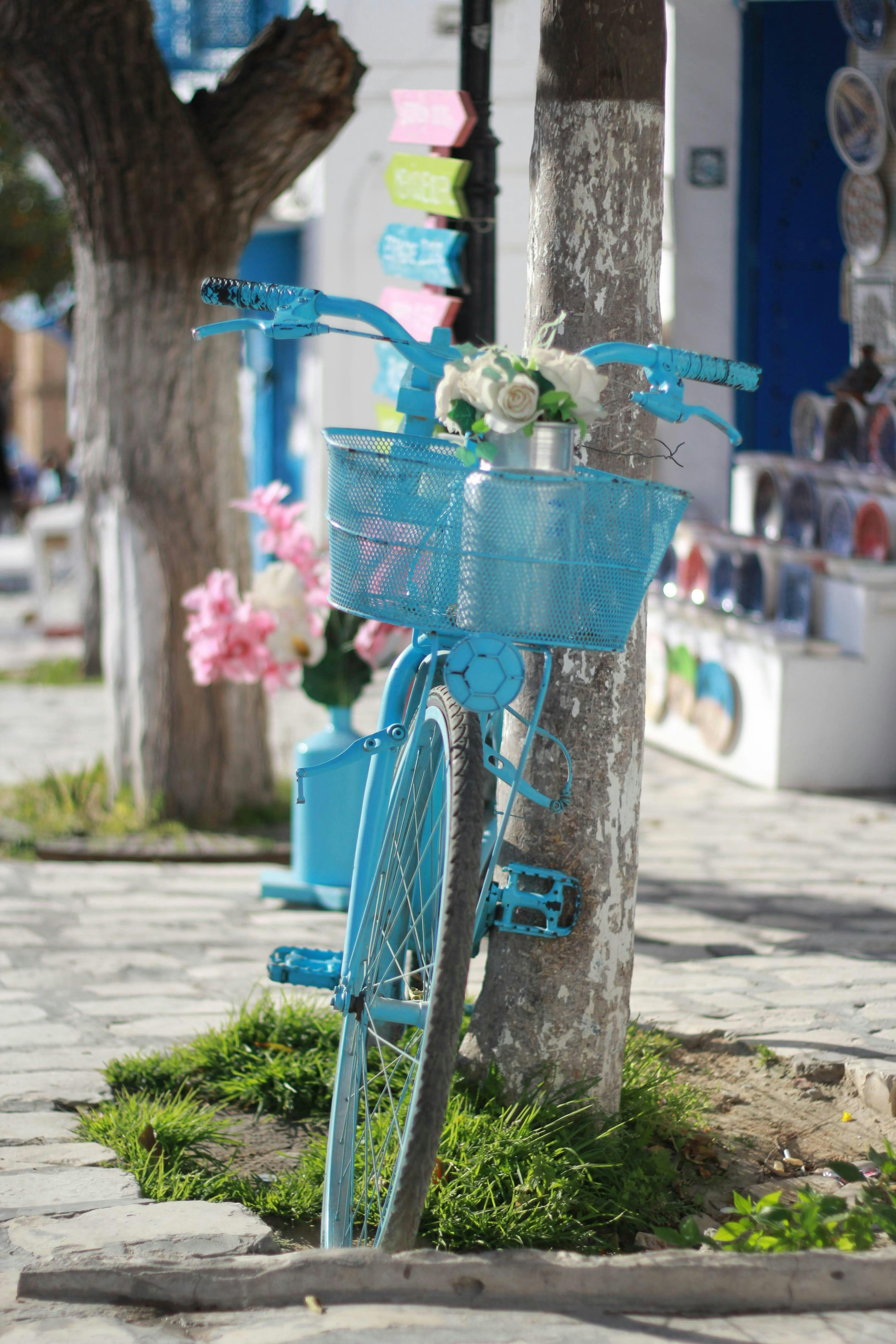 Library Outside Photos, Download Free Library Outside Stock Photos & HD ...