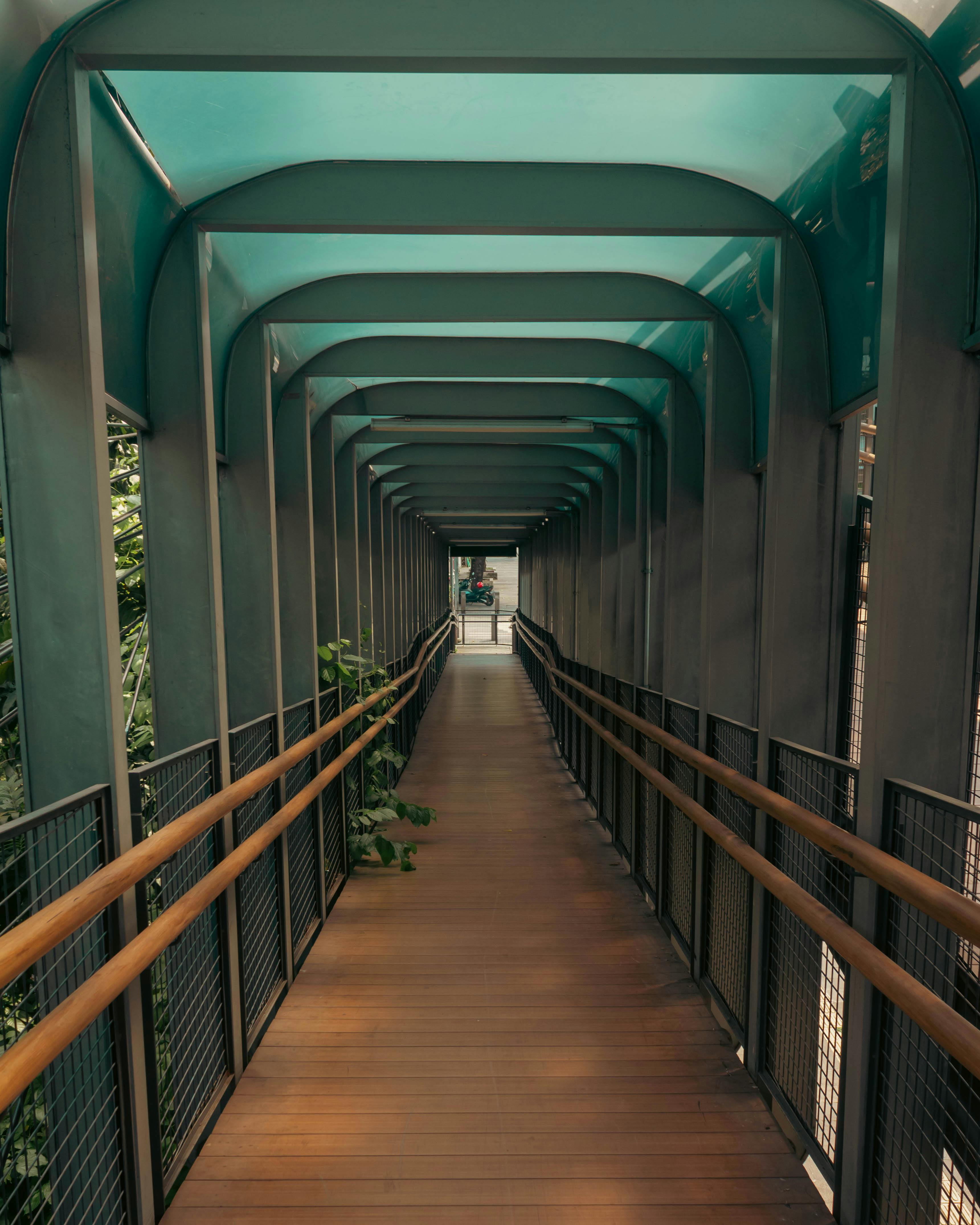 Chandra Halim - Fotografía