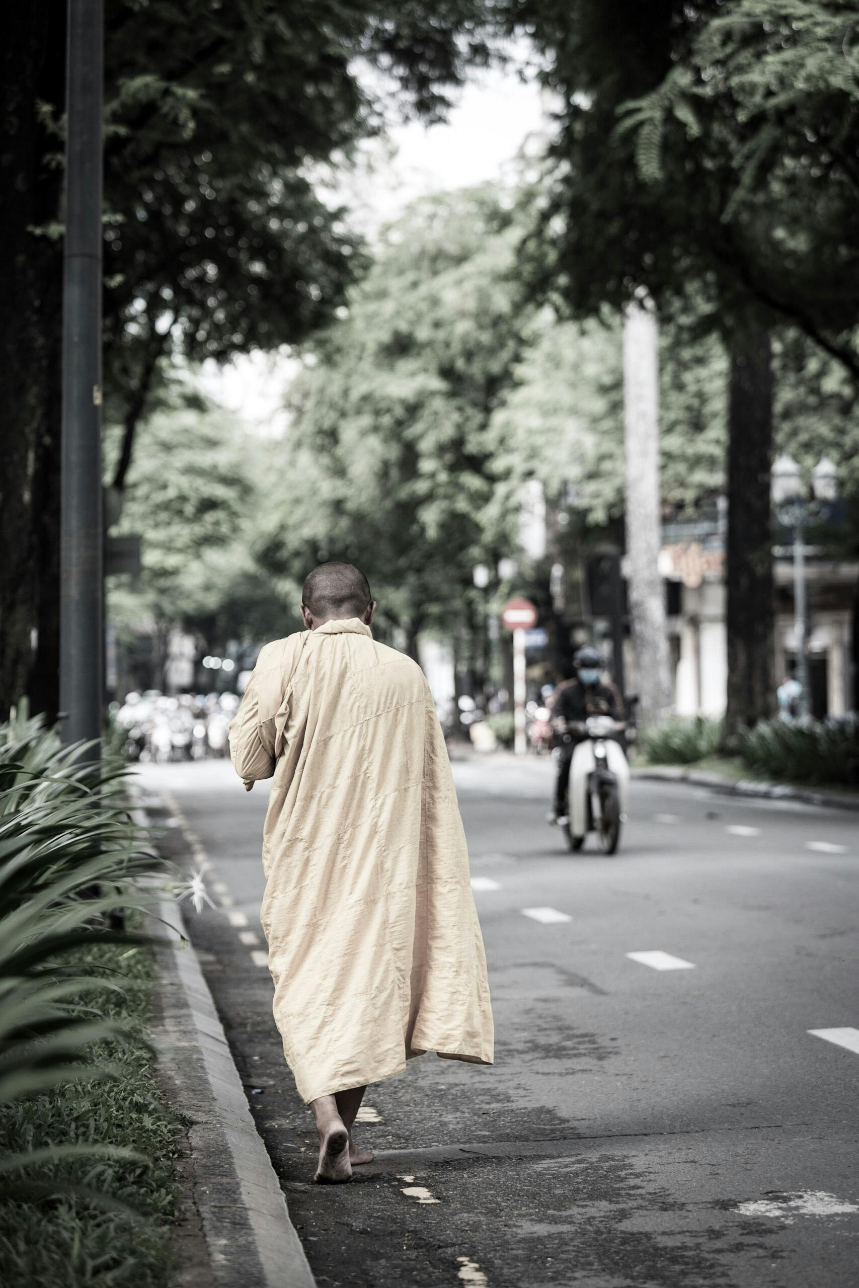 Monk Walking on Road Beside Fern Plants · Free Stock Photo