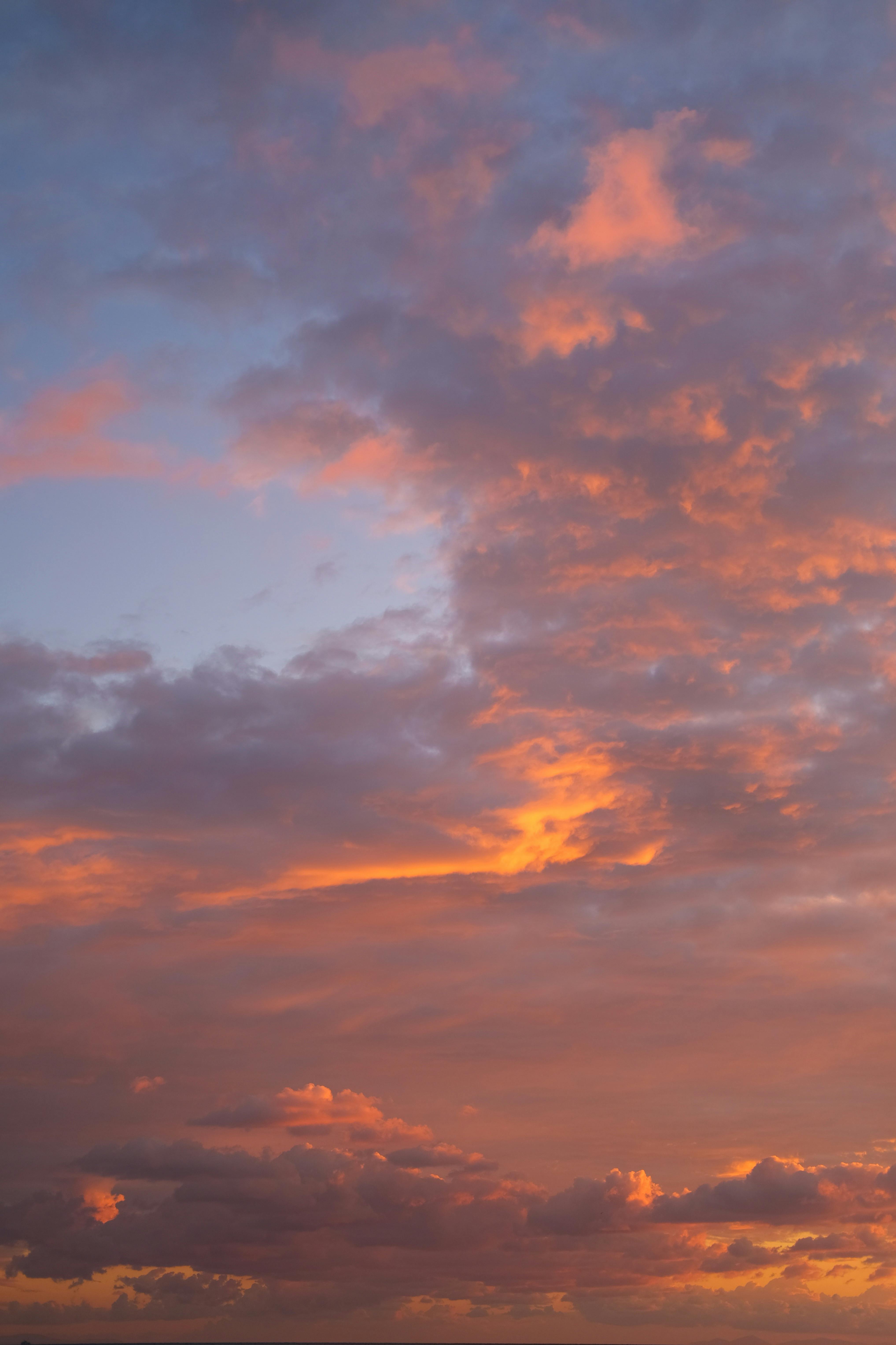 Pink Clouds at Dusk · Free Stock Photo