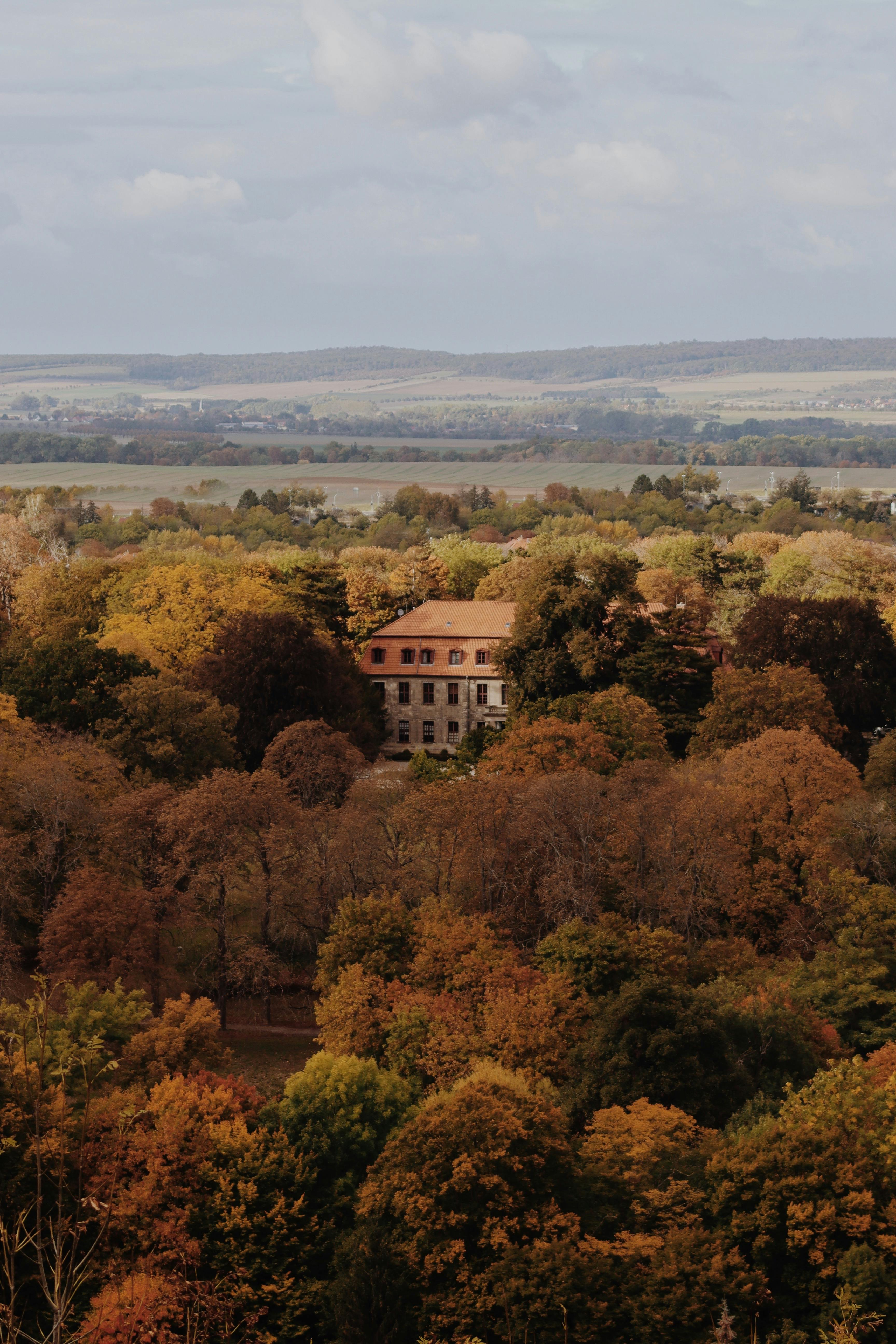 Aerial View of a House Between Autumnal Trees · Free Stock Photo