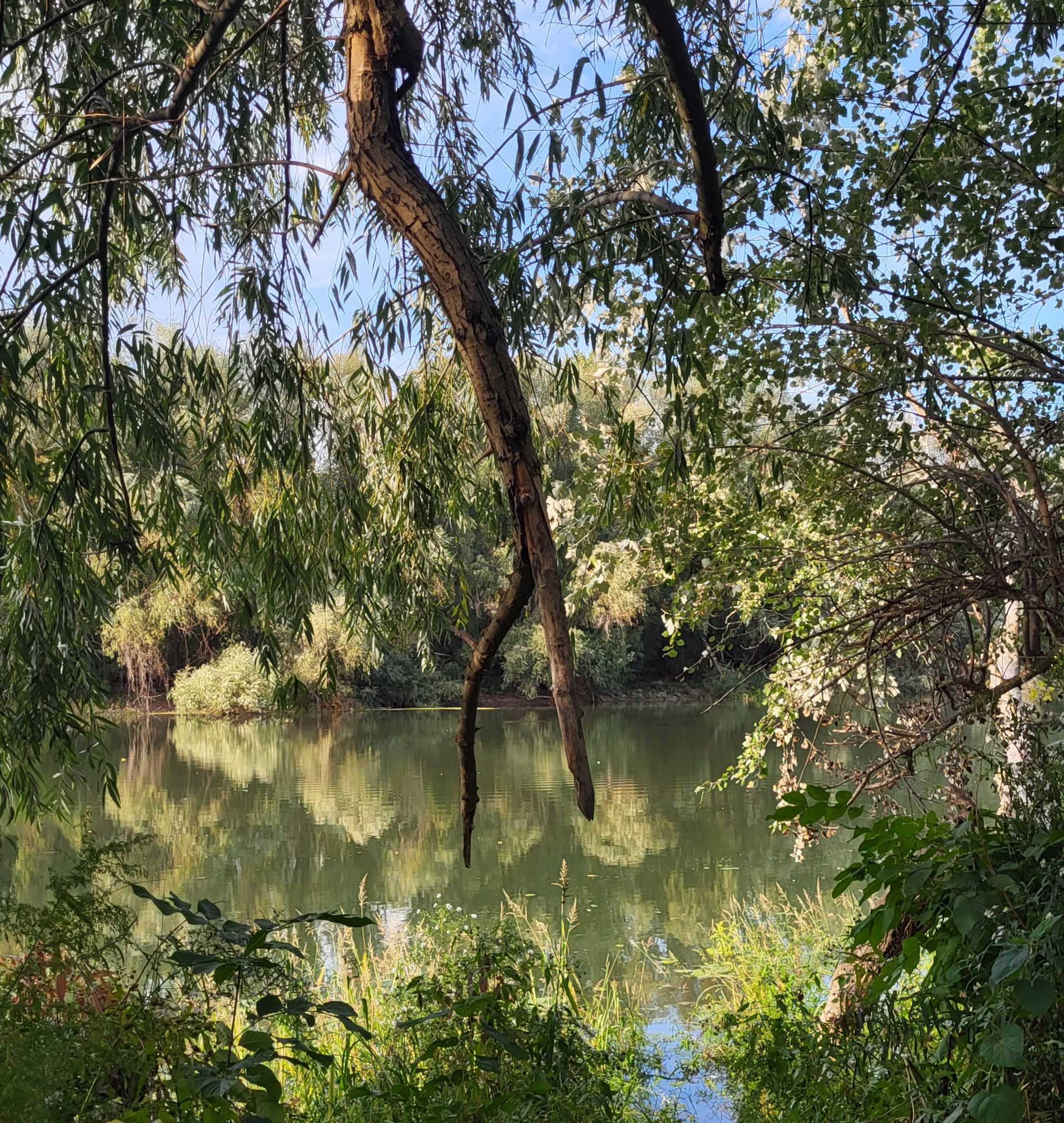 Mate Lake Photos, Download Free Mate Lake Stock Photos & HD Images
