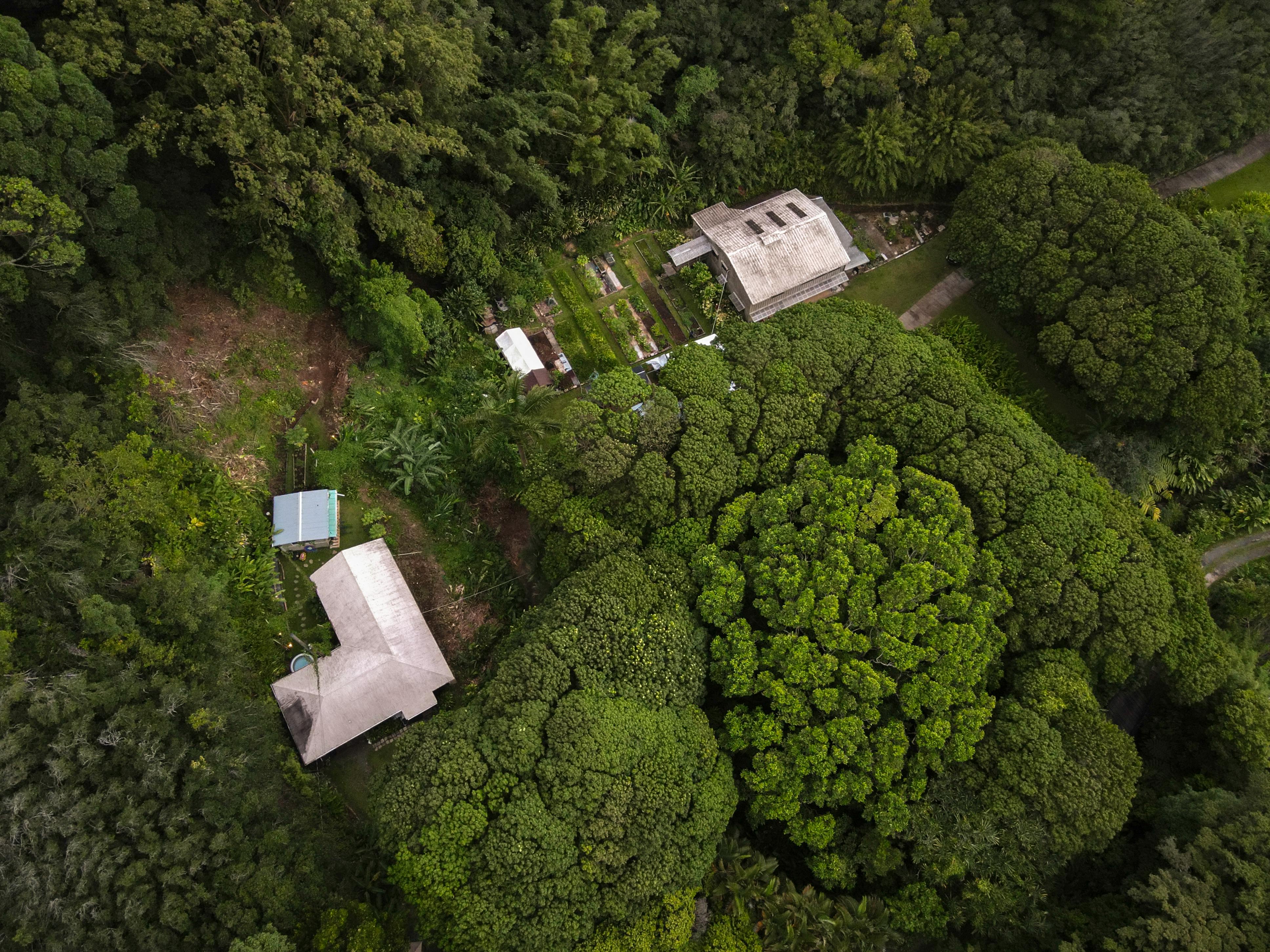 Aerial Photography of Houses Surrounded with Green Trees · Free Stock Photo