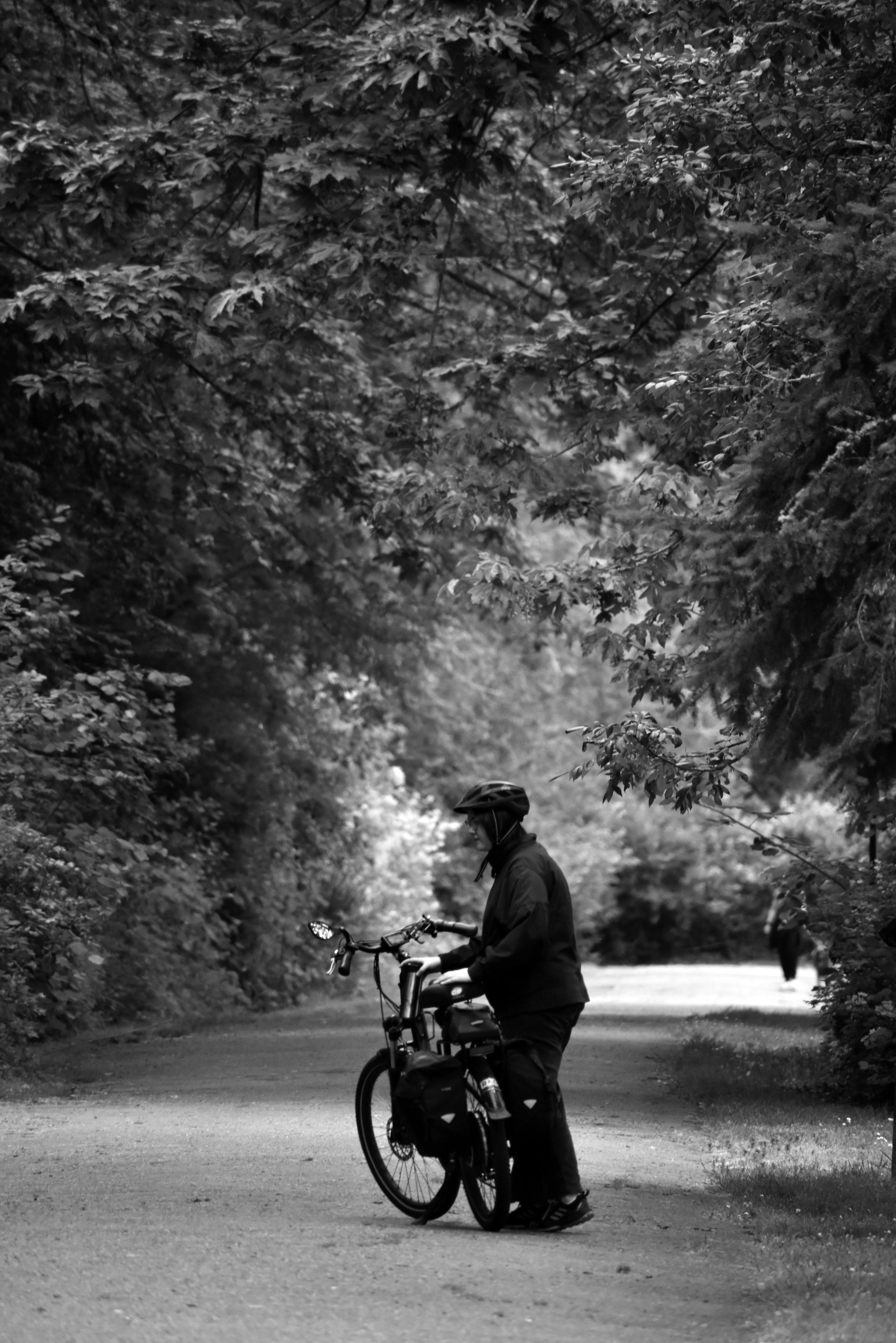 Balkanche Bicycle Photos, Download Free Balkanche Bicycle Stock Photos ...